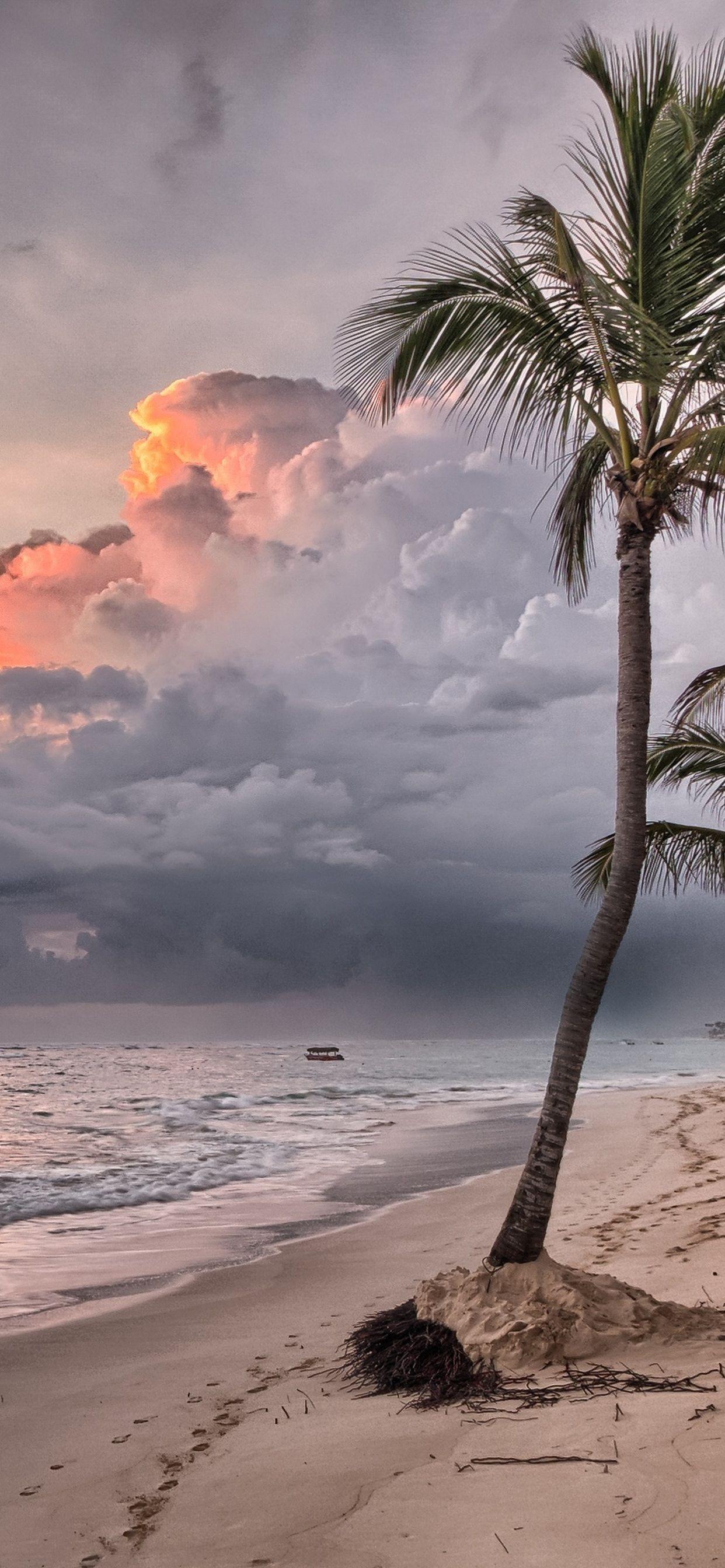 Beach Summer iPhone Wallpapers - Top Free Beach Summer iPhone ...