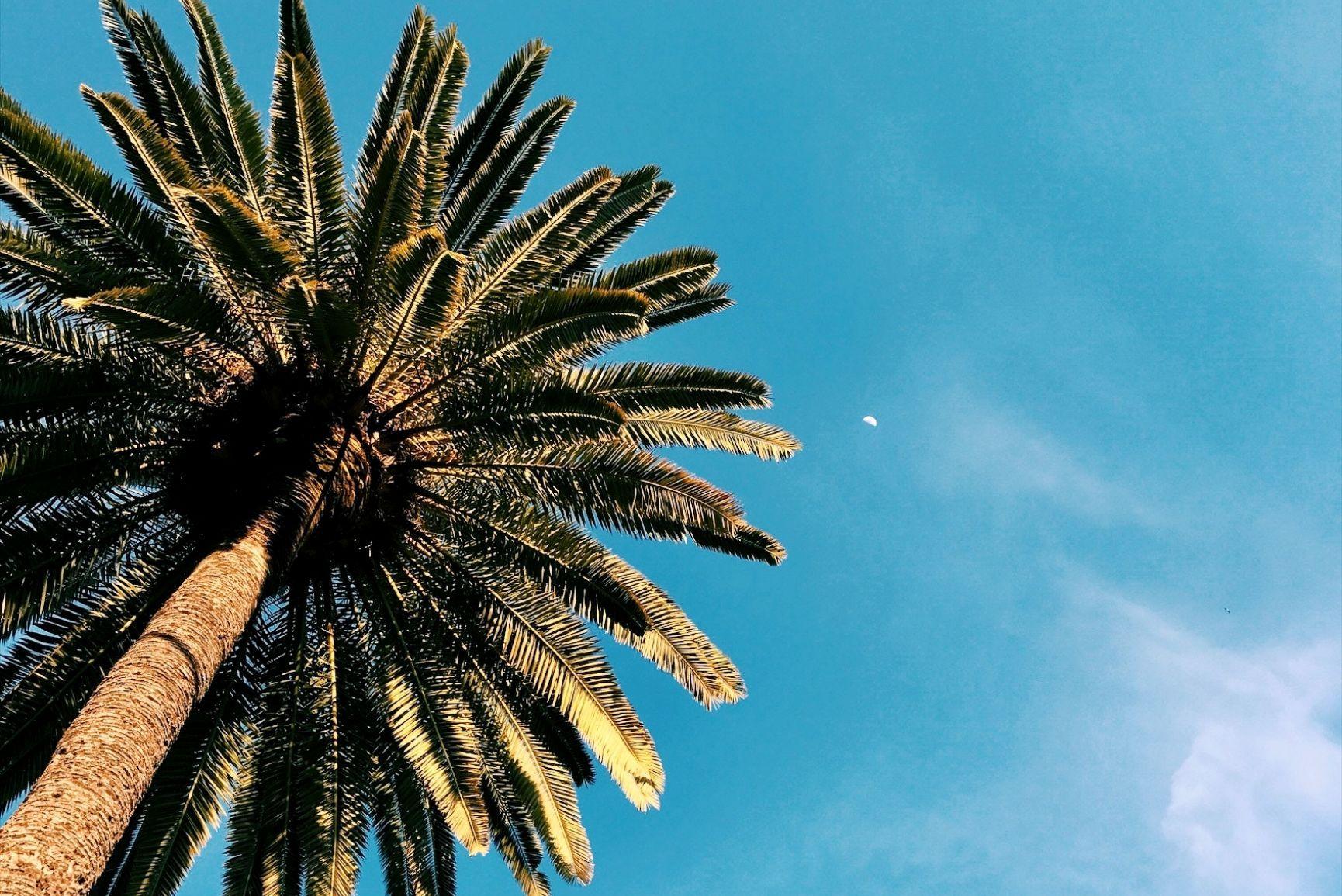 Summer Fun Wallpapers - Top Free Summer Fun Backgrounds - WallpaperAccess