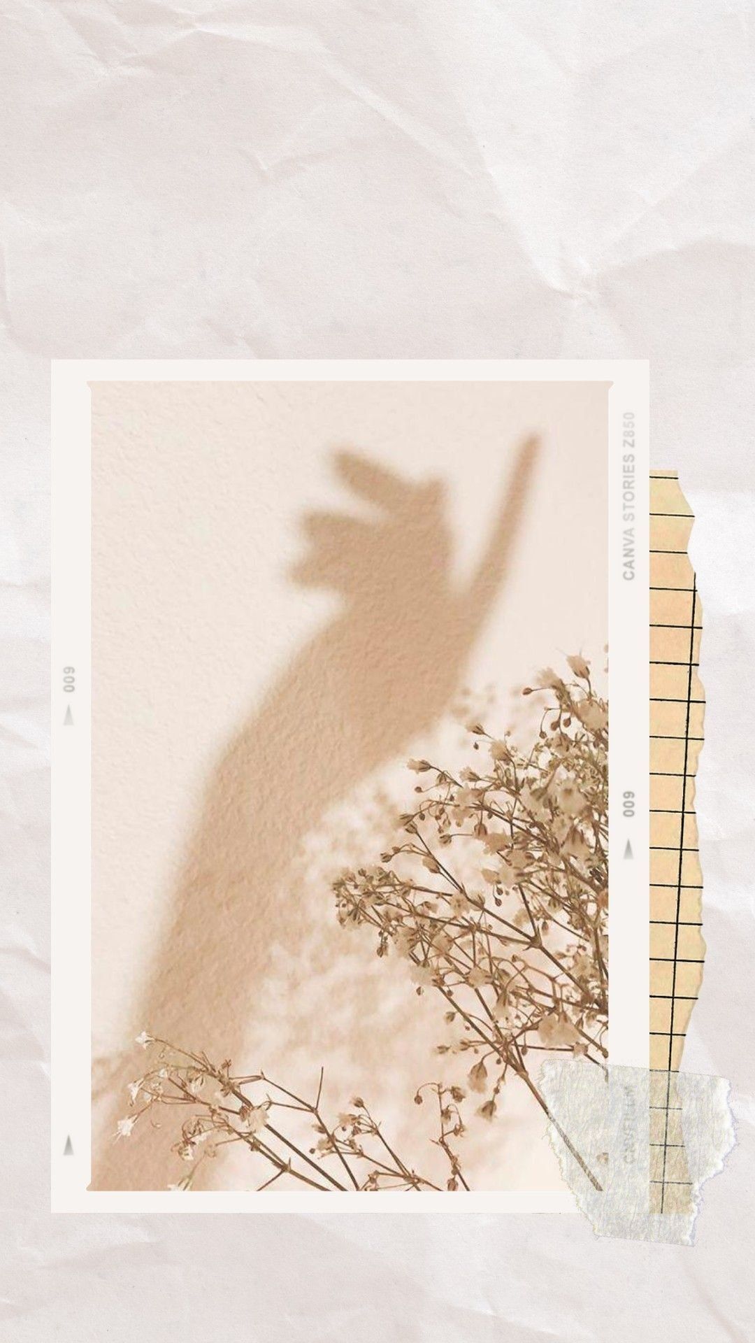 Beige Quotes Wallpapers - Top Free Beige Quotes Backgrounds ...