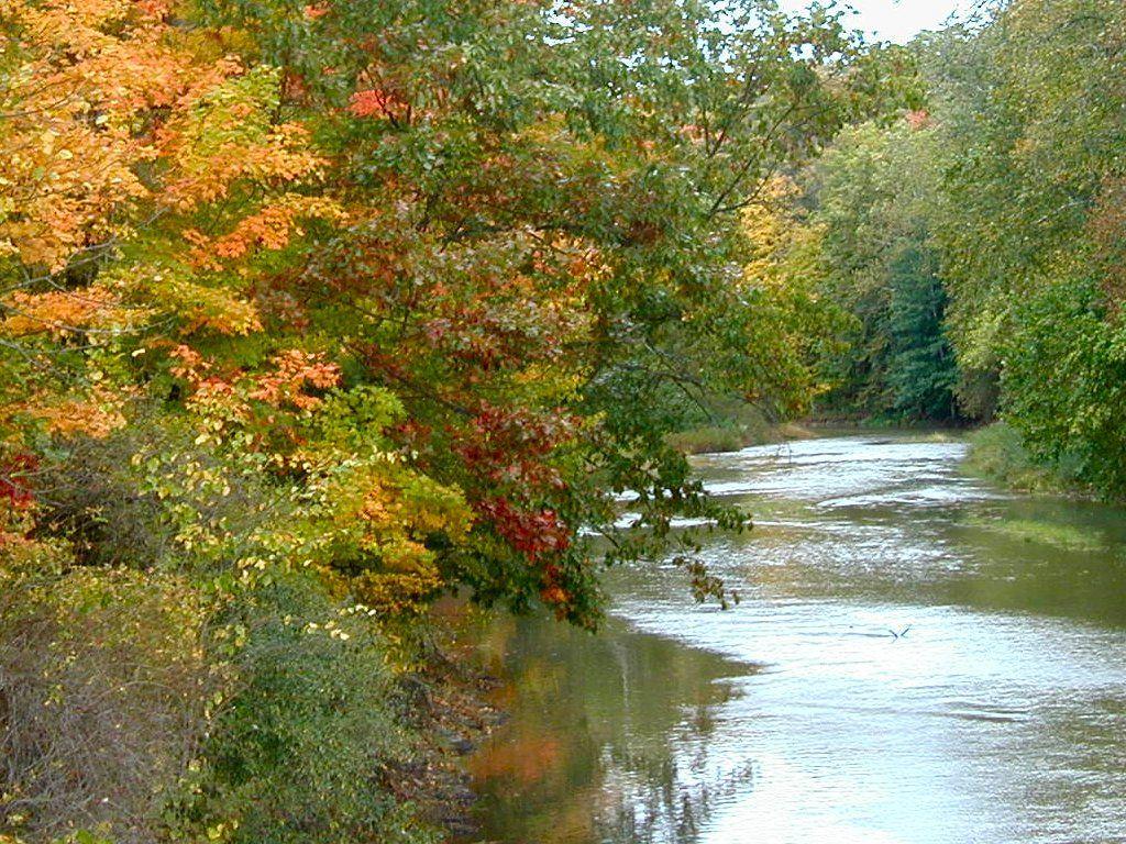 Early Fall Wallpapers - Top Free Early Fall Backgrounds - WallpaperAccess