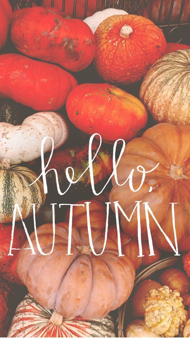 Hello Autumn Wallpapers - Top Free Hello Autumn Backgrounds ...
