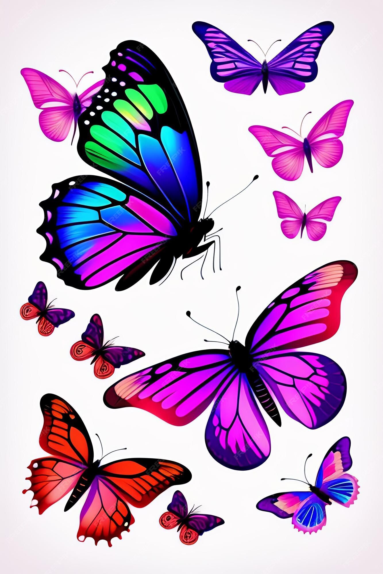 Butterfly Drawing Wallpapers - Top Free Butterfly Drawing Backgrounds ...