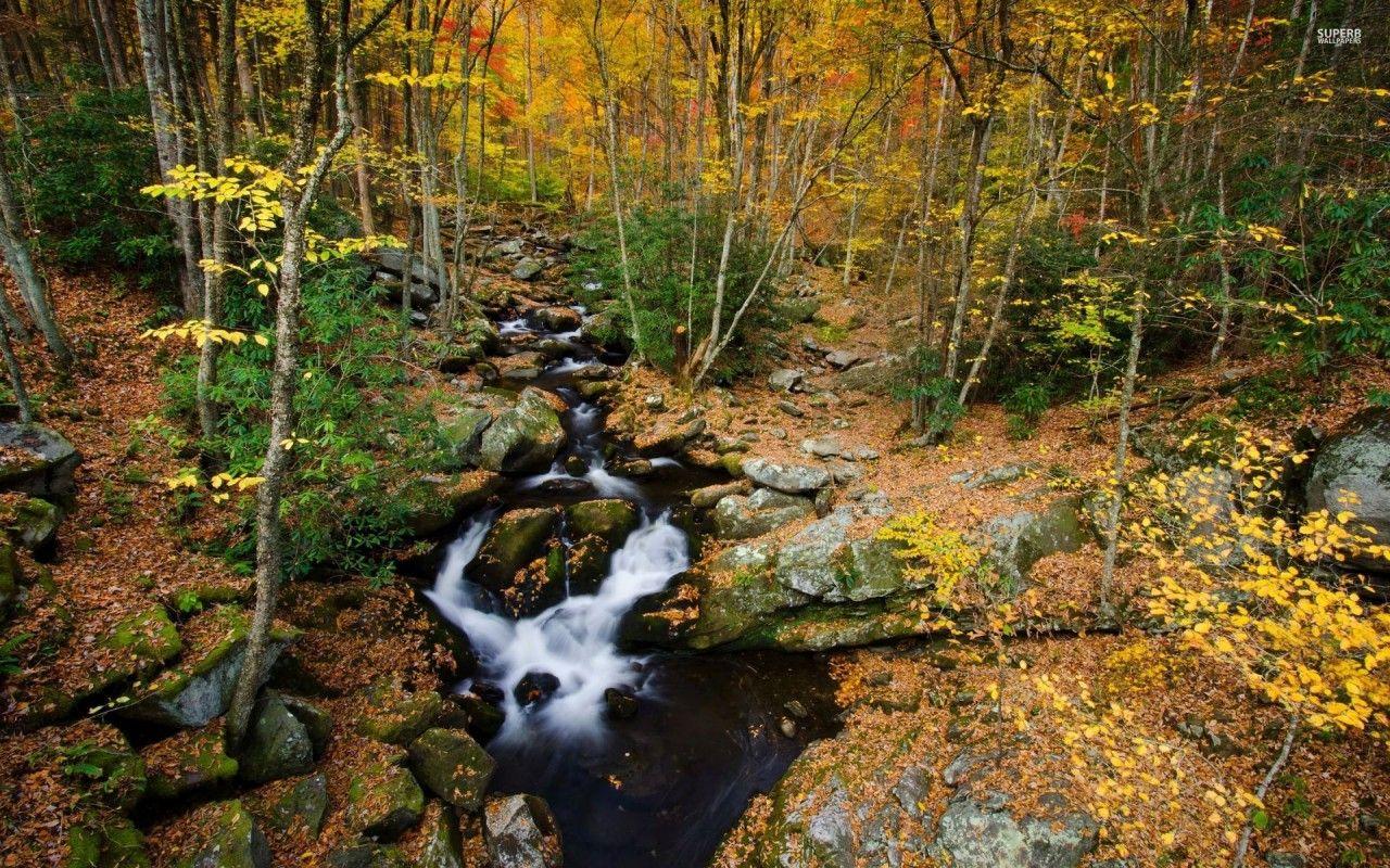 Creek Wallpapers - Top Free Creek Backgrounds - WallpaperAccess