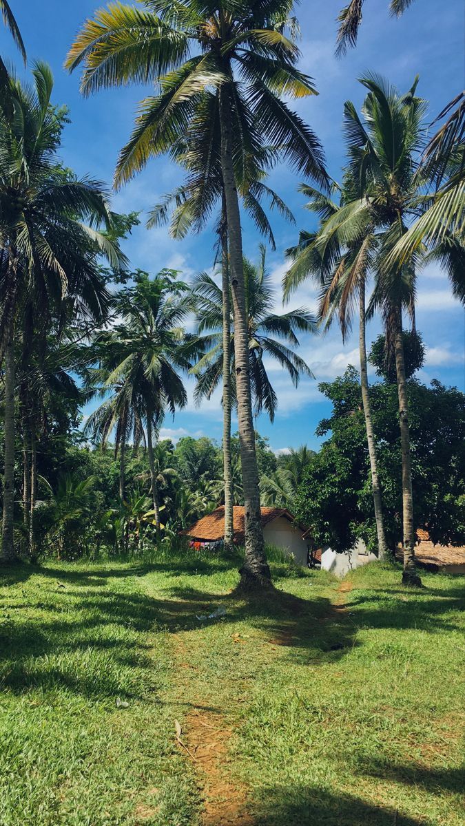 Kampung Wallpapers - Top Free Kampung Backgrounds - WallpaperAccess