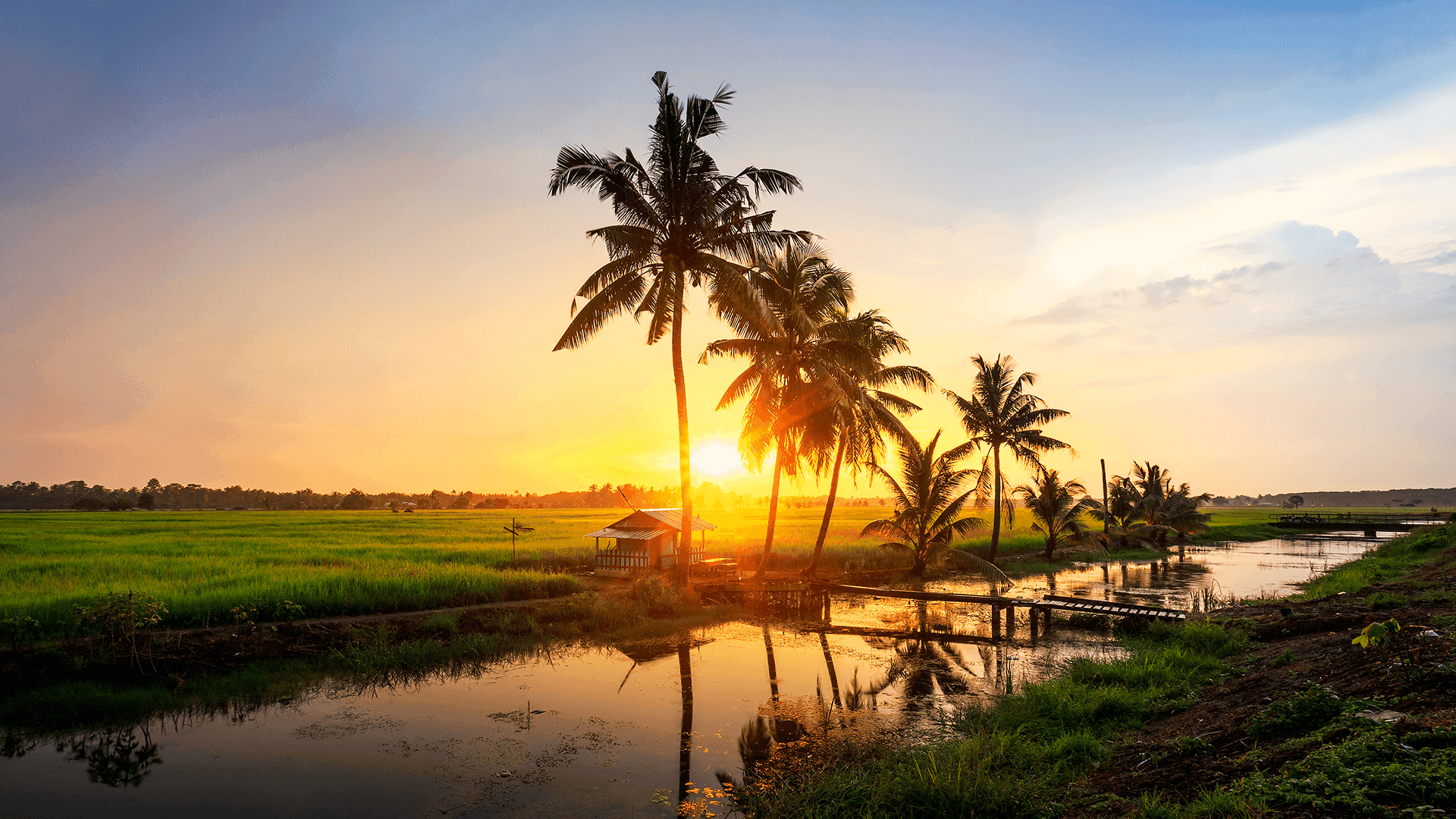 Kampung Wallpapers - Top Free Kampung Backgrounds - WallpaperAccess