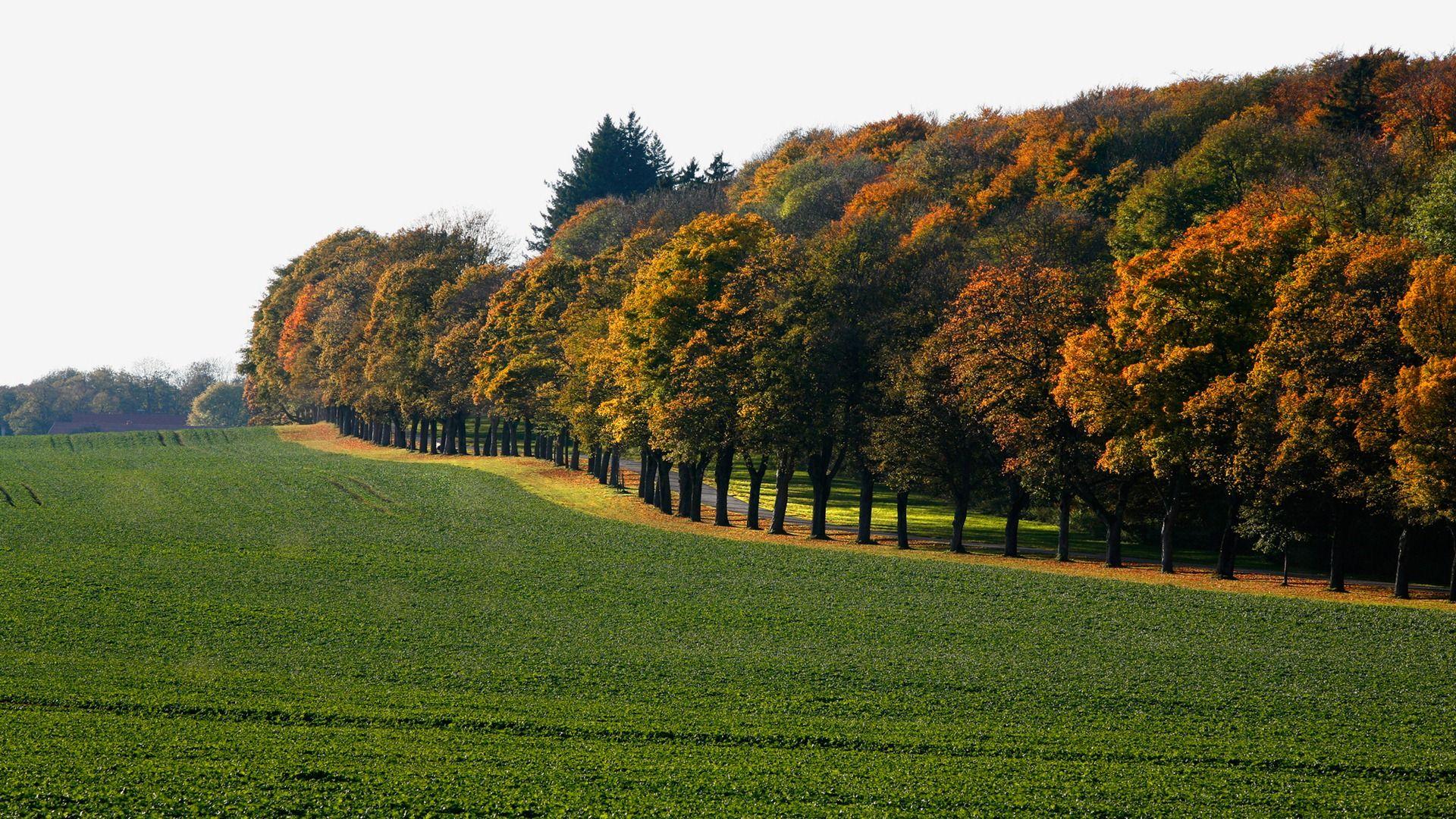 Early Fall Wallpapers - Top Free Early Fall Backgrounds - WallpaperAccess