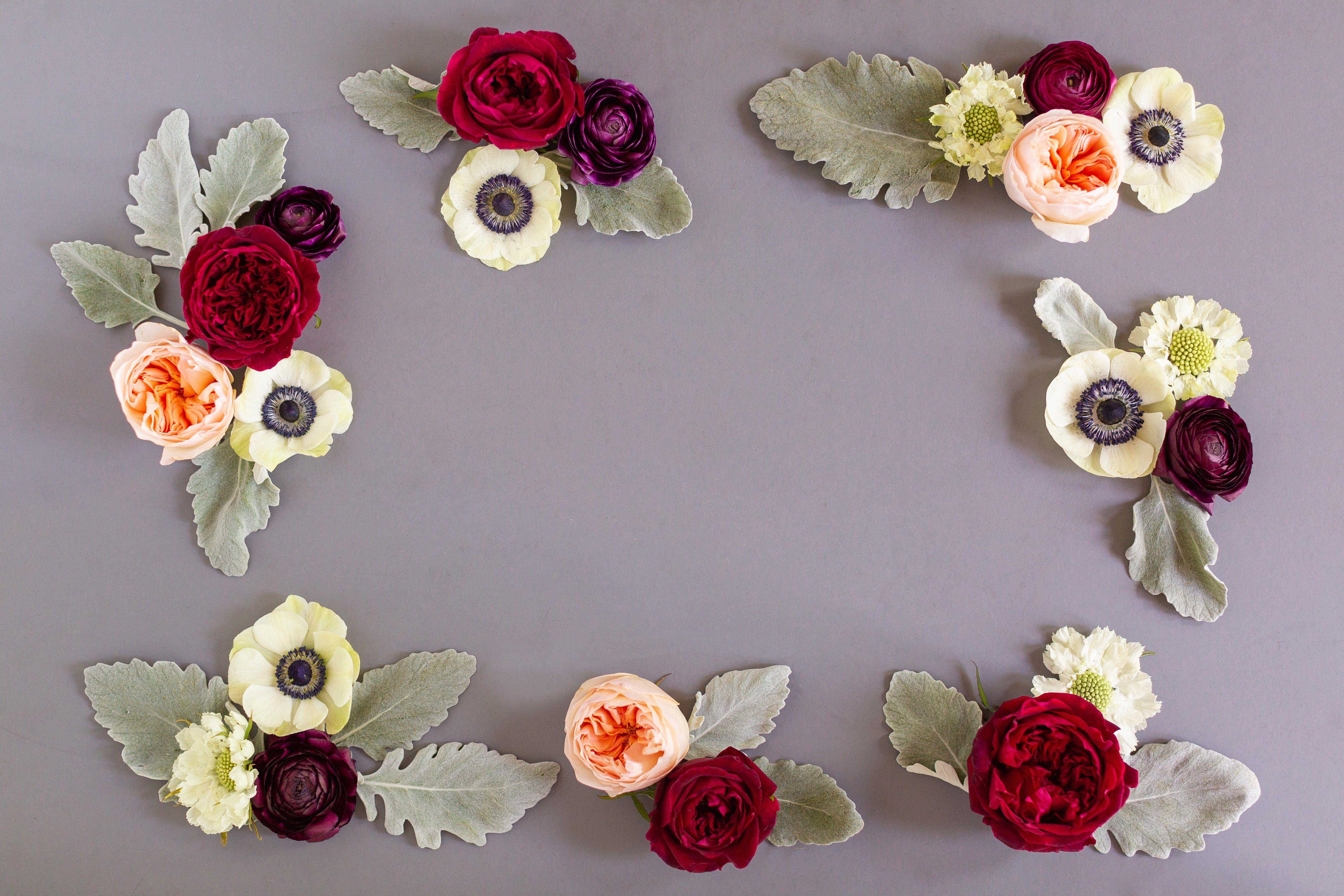 September Flower Wallpapers - Top Free September Flower Backgrounds ...