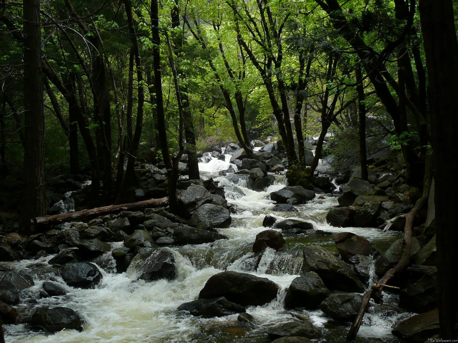 Creek Wallpapers - Top Free Creek Backgrounds - WallpaperAccess