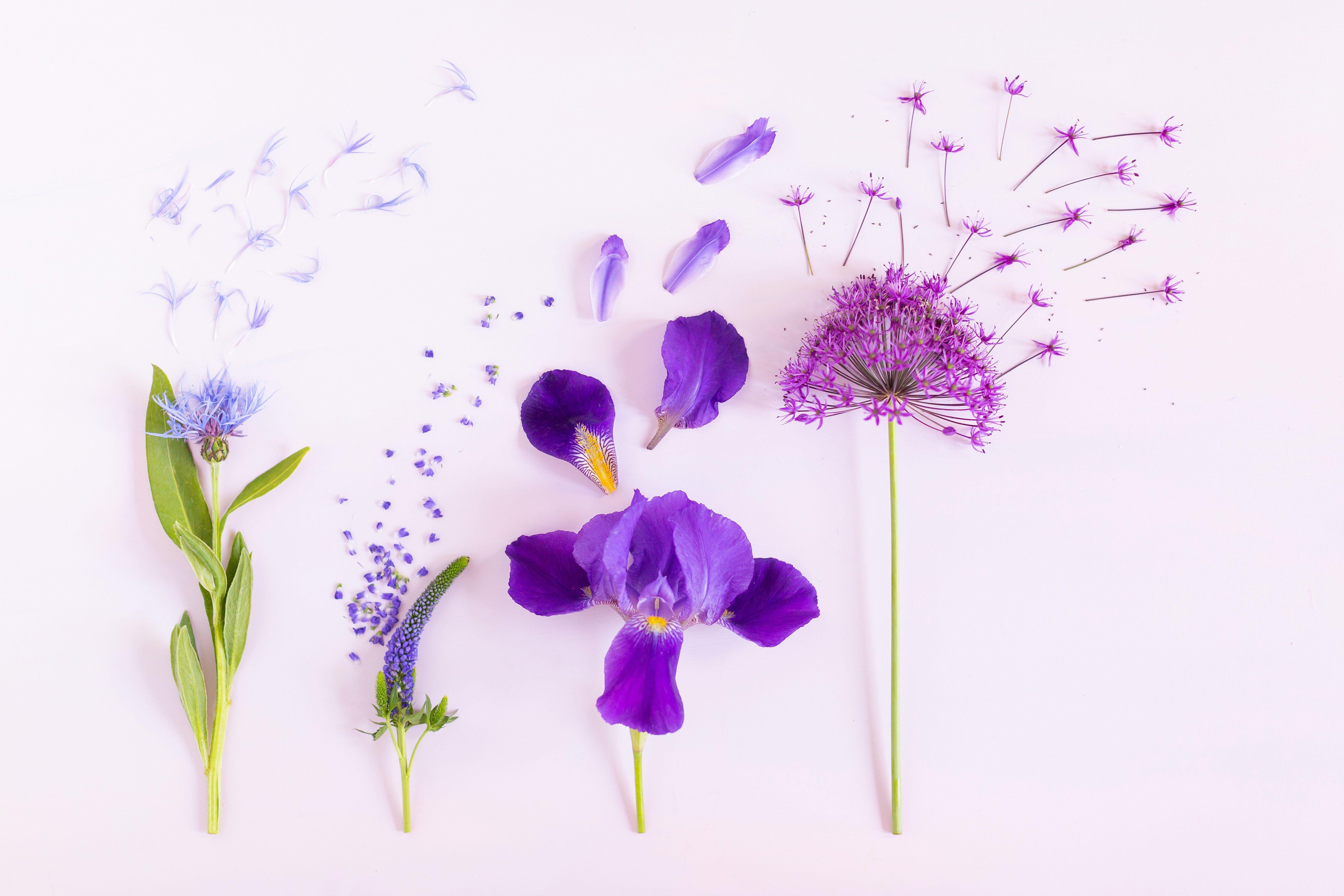 Pantone Wallpapers - Top Free Pantone Backgrounds - WallpaperAccess