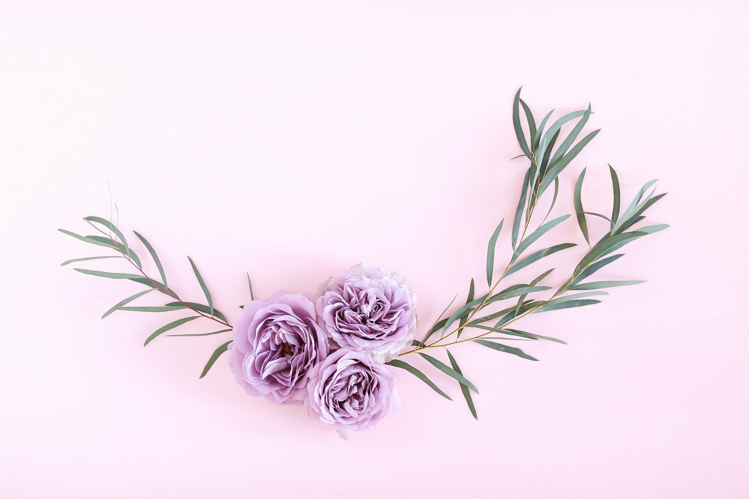 June Wallpapers - Top Free June Backgrounds - WallpaperAccess