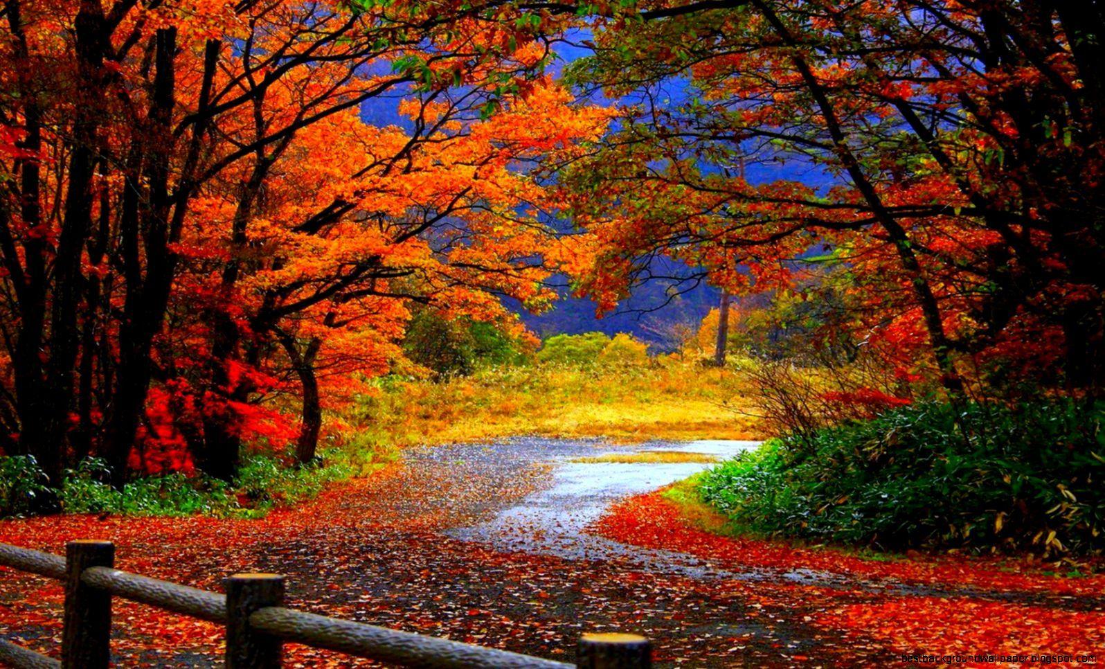 Early Fall Wallpapers - Top Free Early Fall Backgrounds - WallpaperAccess