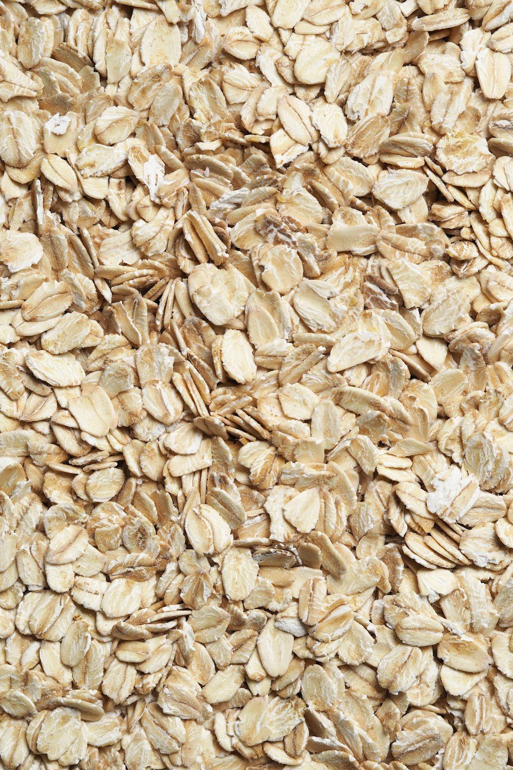 Oatmeal Wallpapers - Top Free Oatmeal Backgrounds - WallpaperAccess