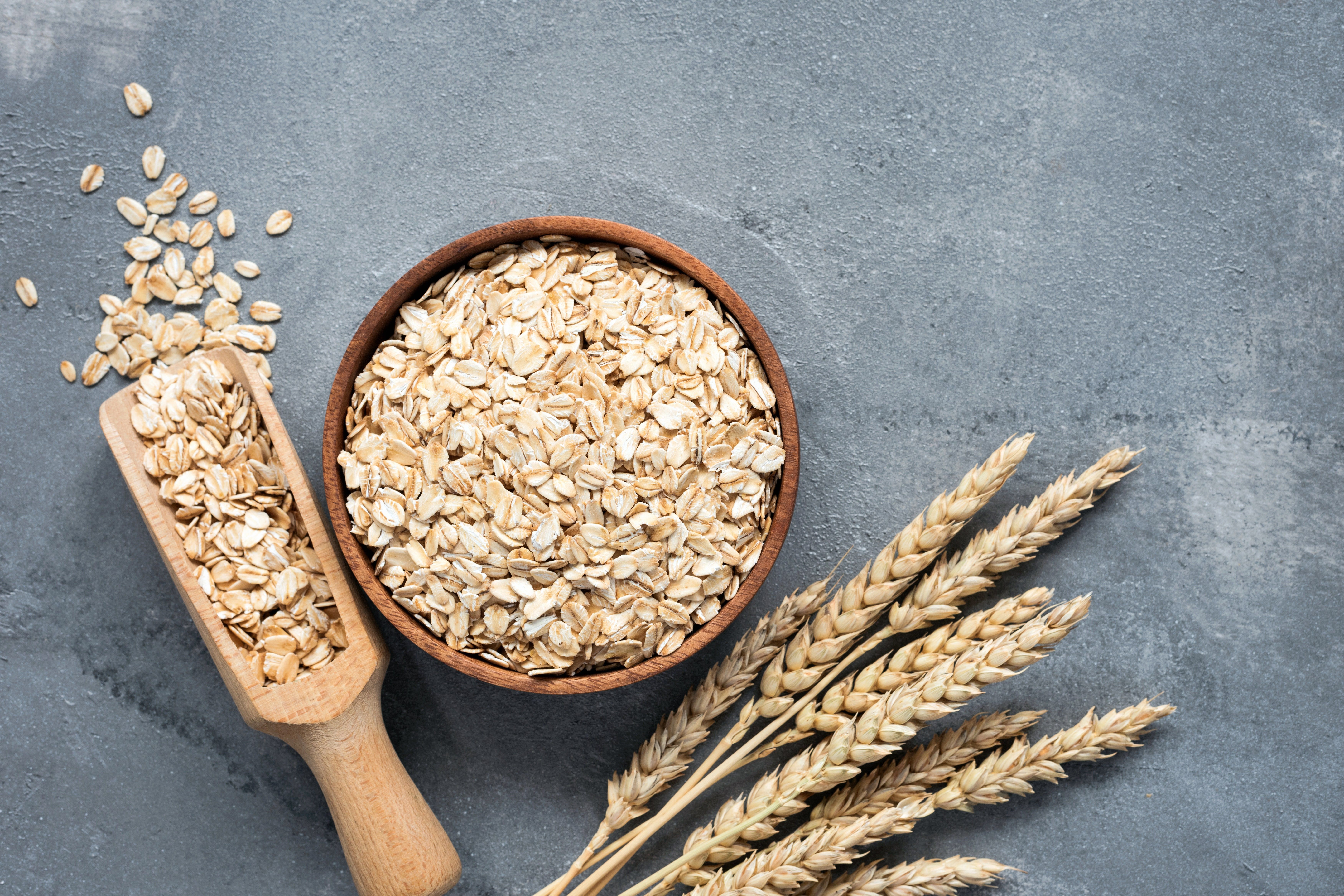 Oatmeal Wallpapers - Top Free Oatmeal Backgrounds - WallpaperAccess