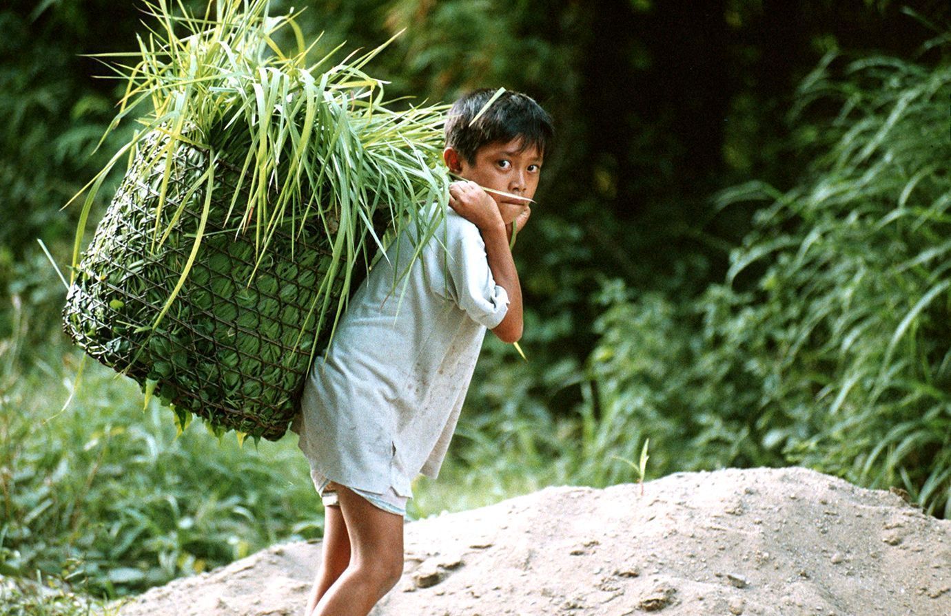 Child Labour Wallpapers - Top Free Child Labour Backgrounds ...