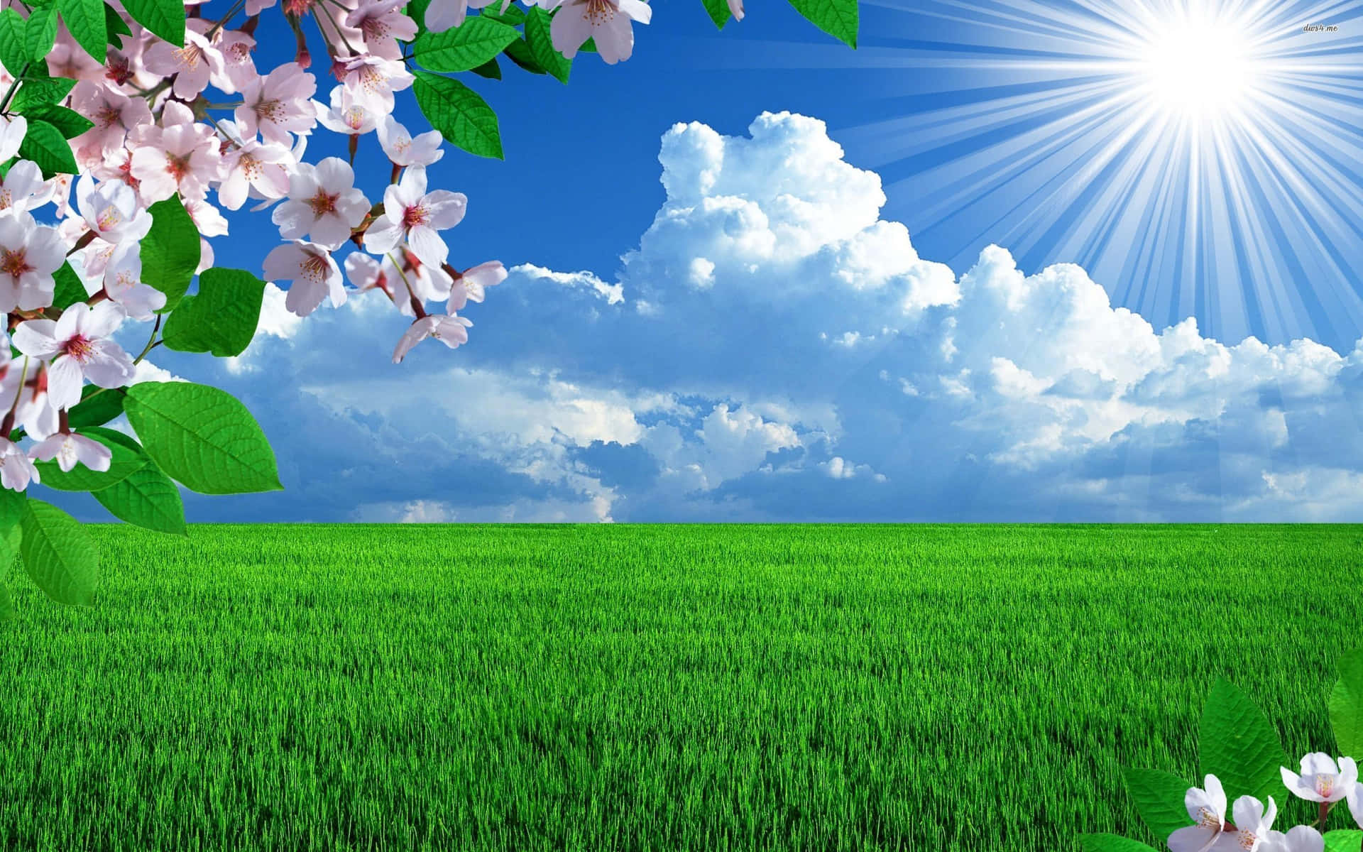 Sunny Weather Wallpapers - Top Free Sunny Weather Backgrounds ...