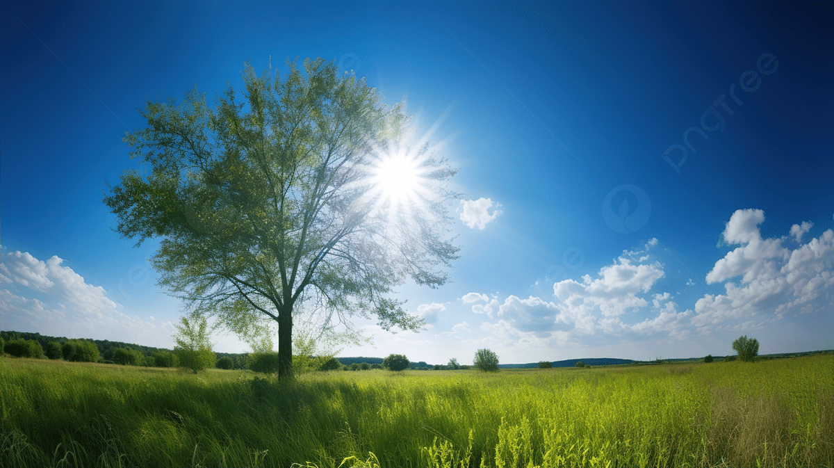 Sunny Weather Wallpapers - Top Free Sunny Weather Backgrounds ...