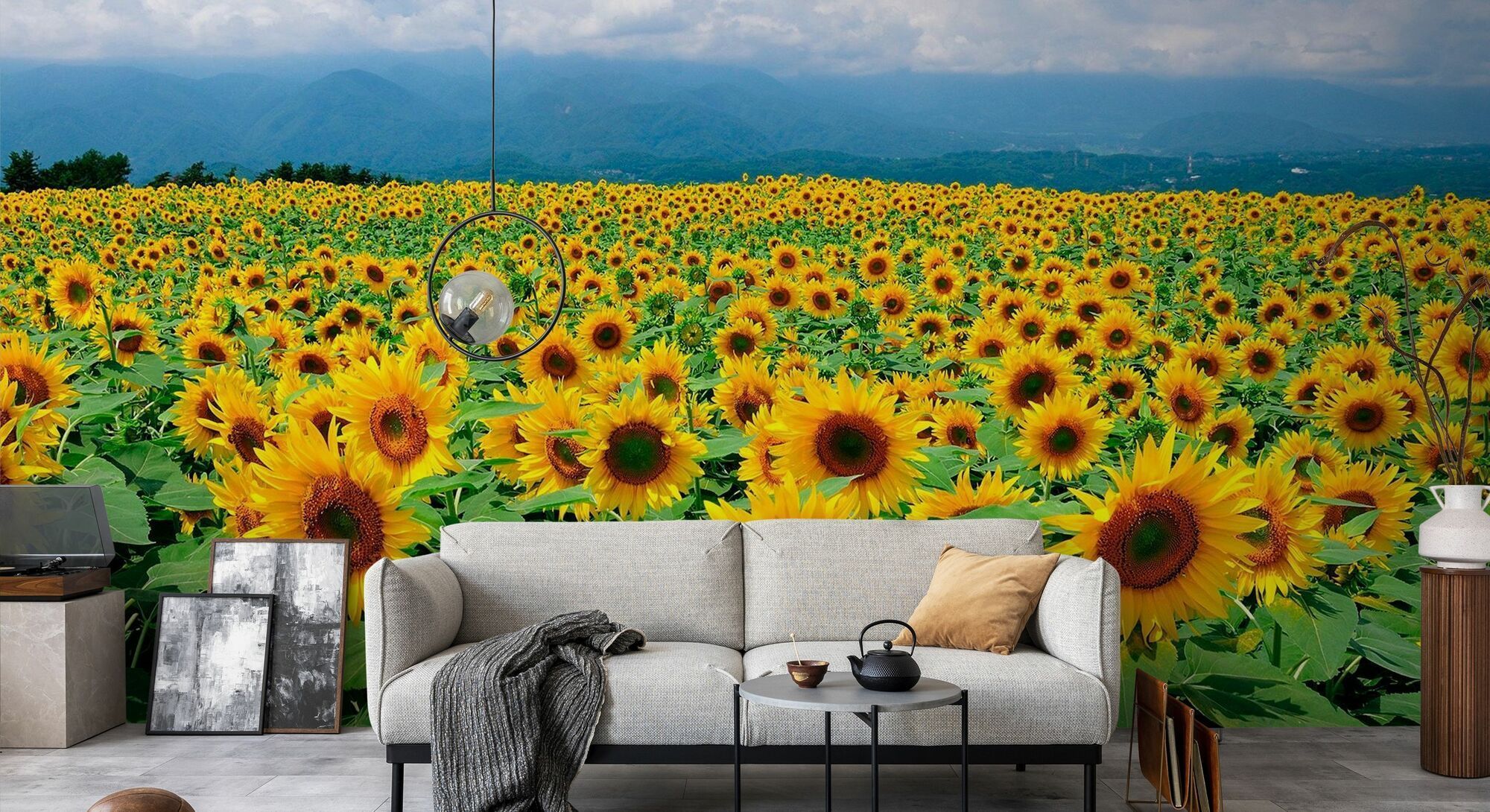 Sunny Weather Wallpapers - Top Free Sunny Weather Backgrounds ...