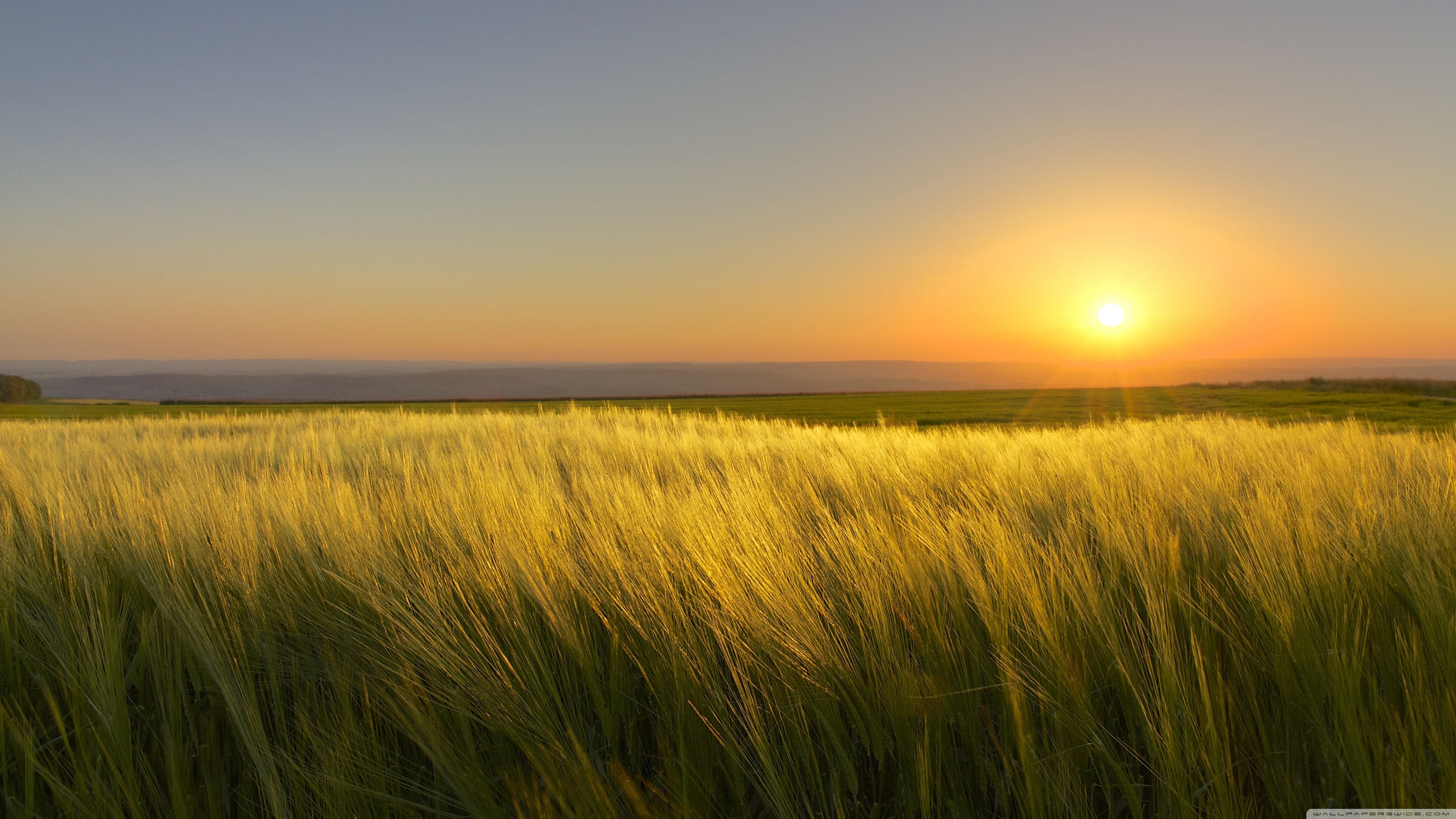 Sunny Weather Wallpapers - Top Free Sunny Weather Backgrounds ...