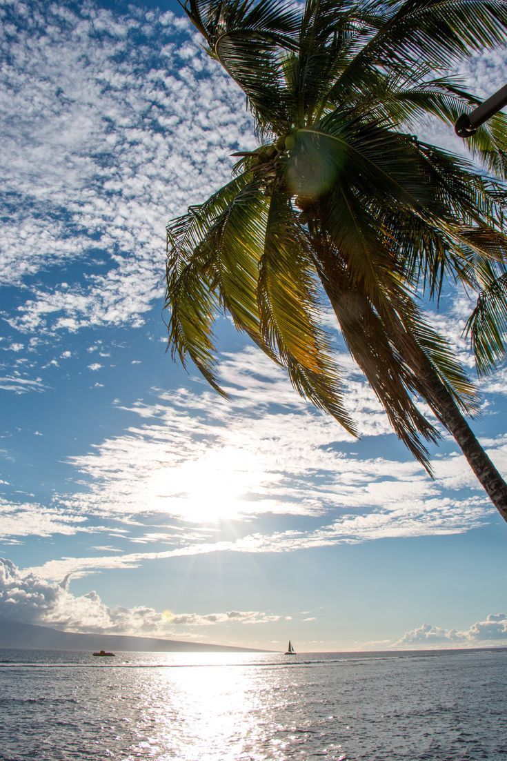 Sunny Weather Wallpapers - Top Free Sunny Weather Backgrounds ...