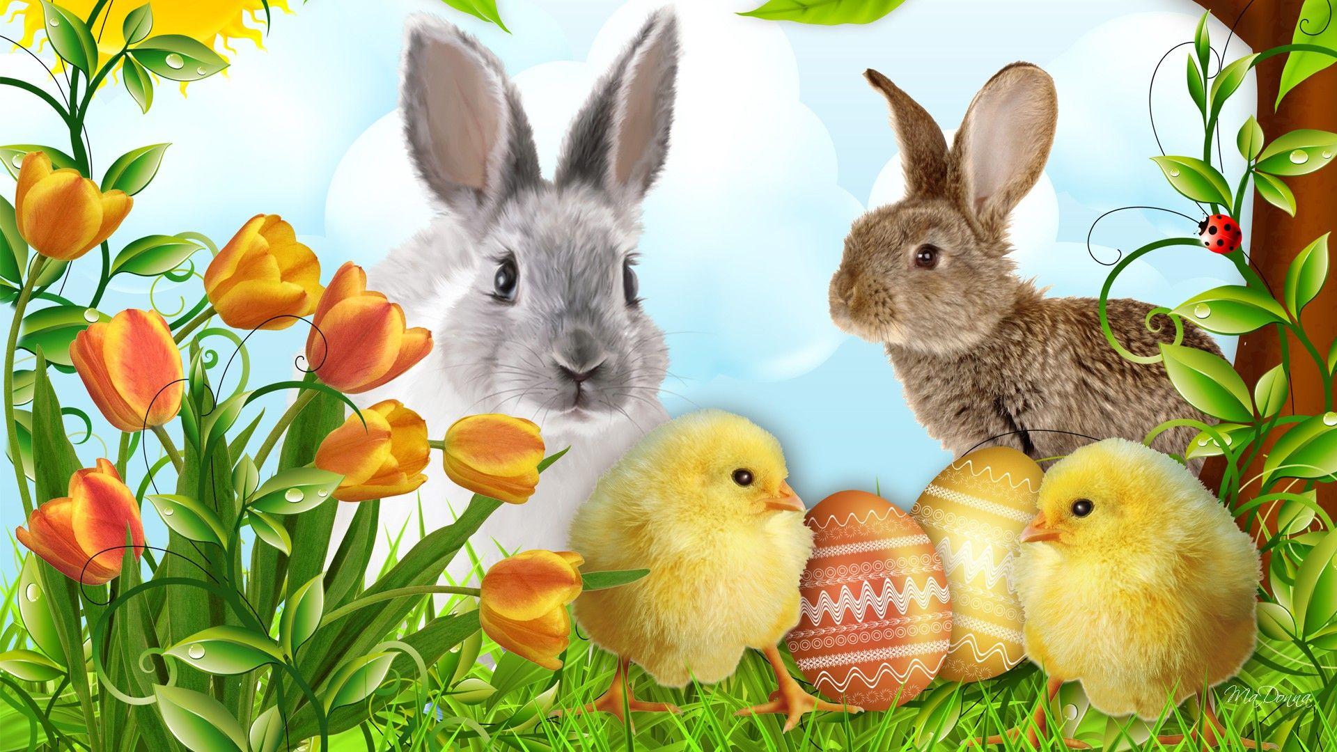 Baby Easter Bunny Wallpapers - Top Free Baby Easter Bunny Backgrounds ...