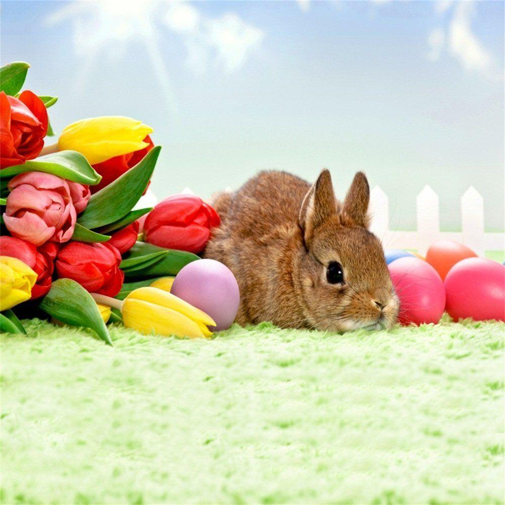 Baby Easter Bunny Wallpapers - Top Free Baby Easter Bunny Backgrounds ...