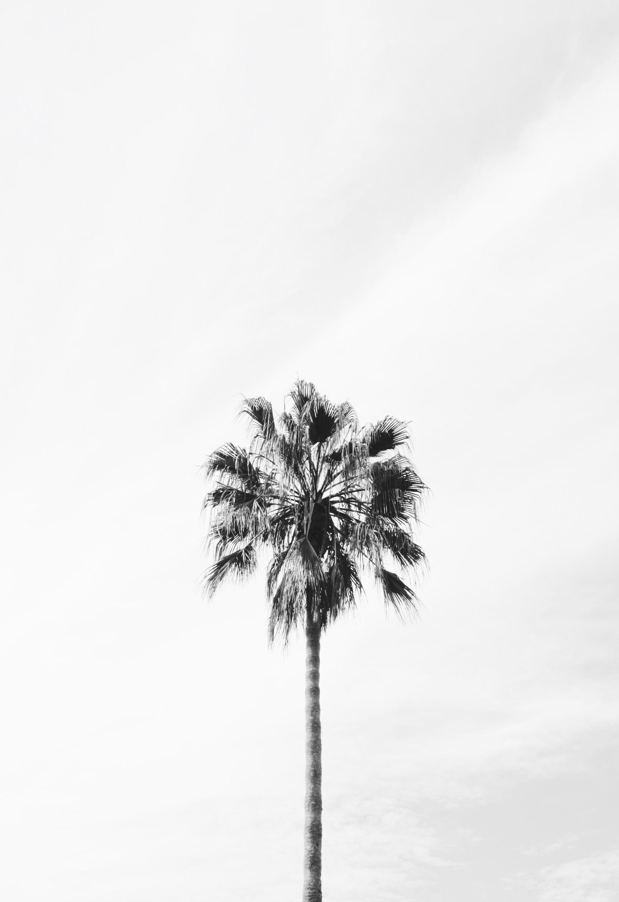Southern California Wallpapers - Top Free Southern California ...