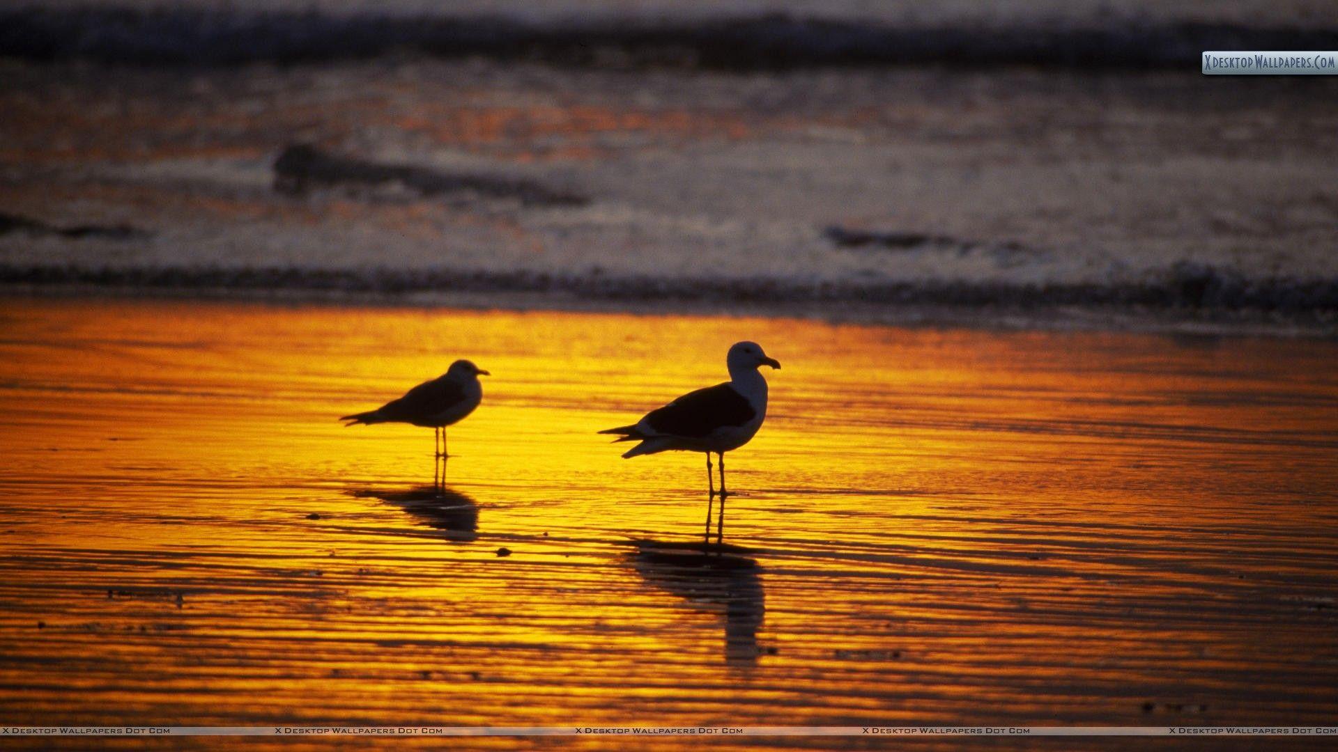 Southern California Wallpapers - Top Free Southern California ...