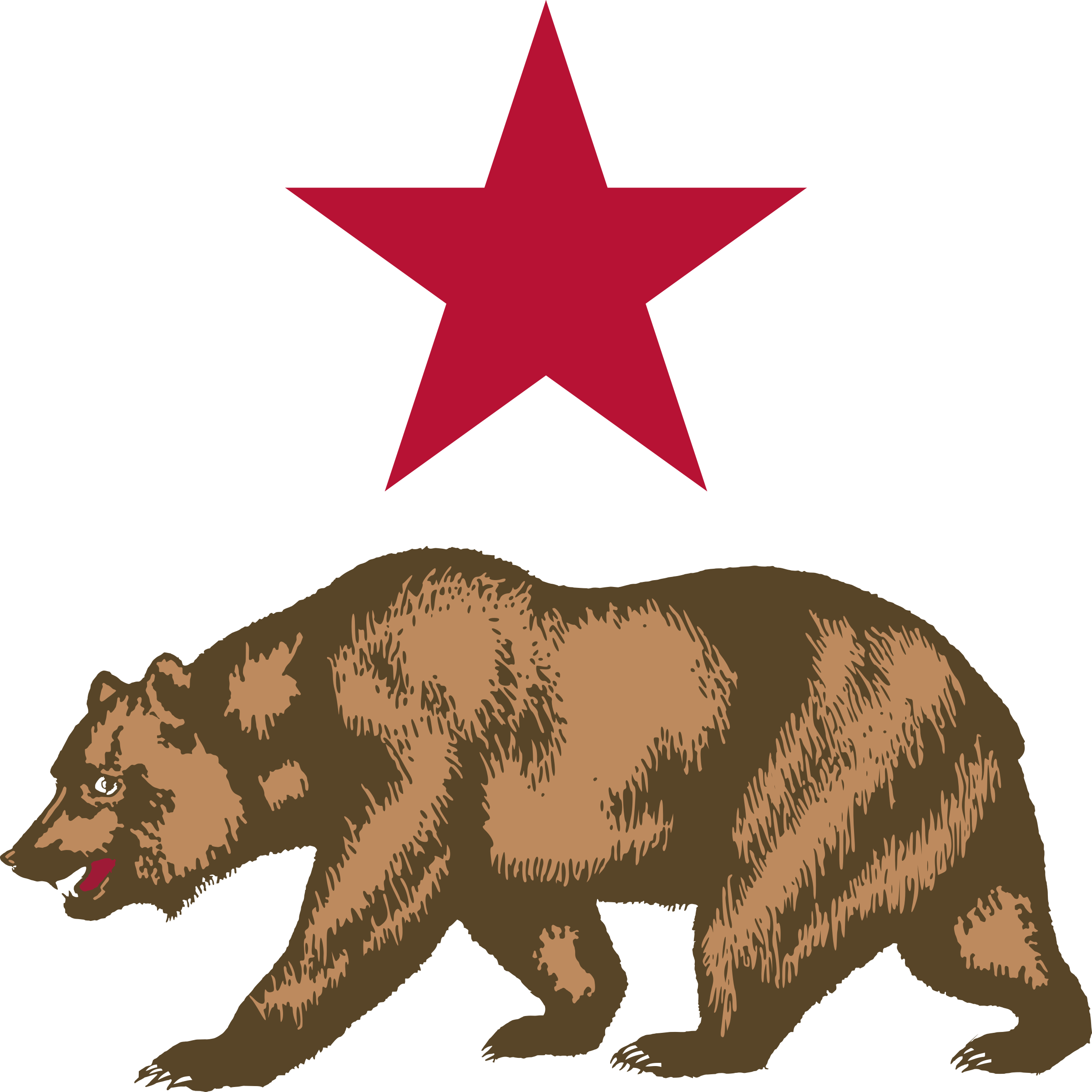 California Flag Wallpapers - Top Free California Flag Backgrounds ...