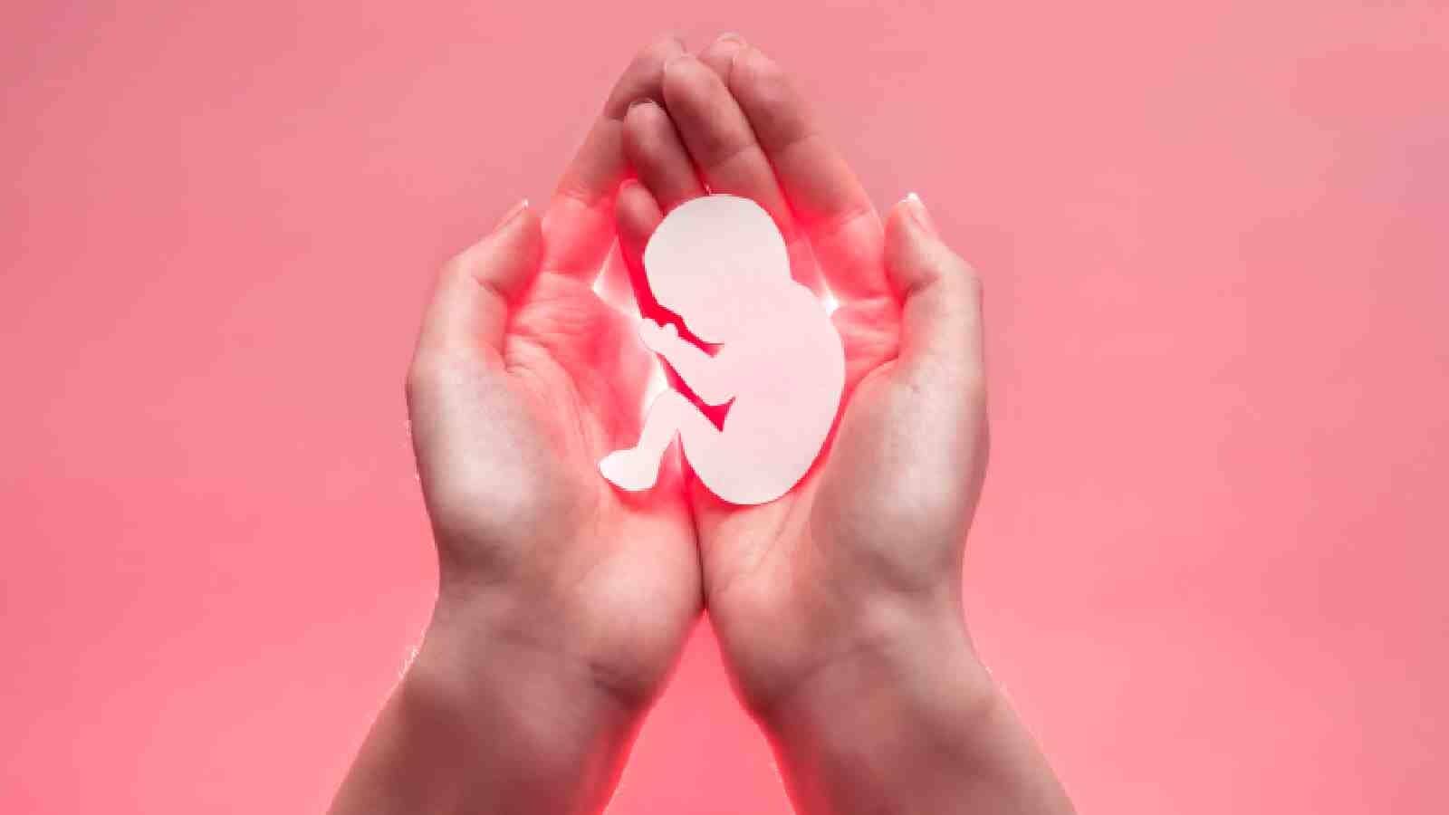 Abortion Wallpapers Top Free Abortion Backgrounds WallpaperAccess Abortion Wallpapers Top Free Abortion Backgrounds WallpaperAccess