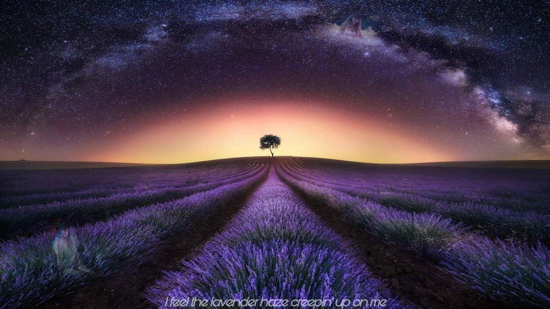 Lavender Haze Wallpapers - Top Free Lavender Haze Backgrounds - WallpaperAccess