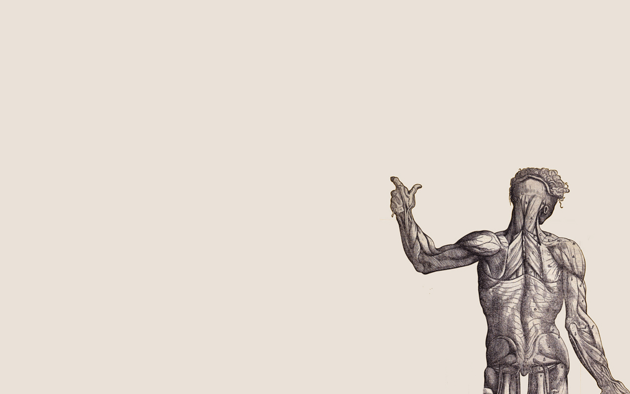 Human Art Wallpapers - Top Free Human Art Backgrounds - WallpaperAccess