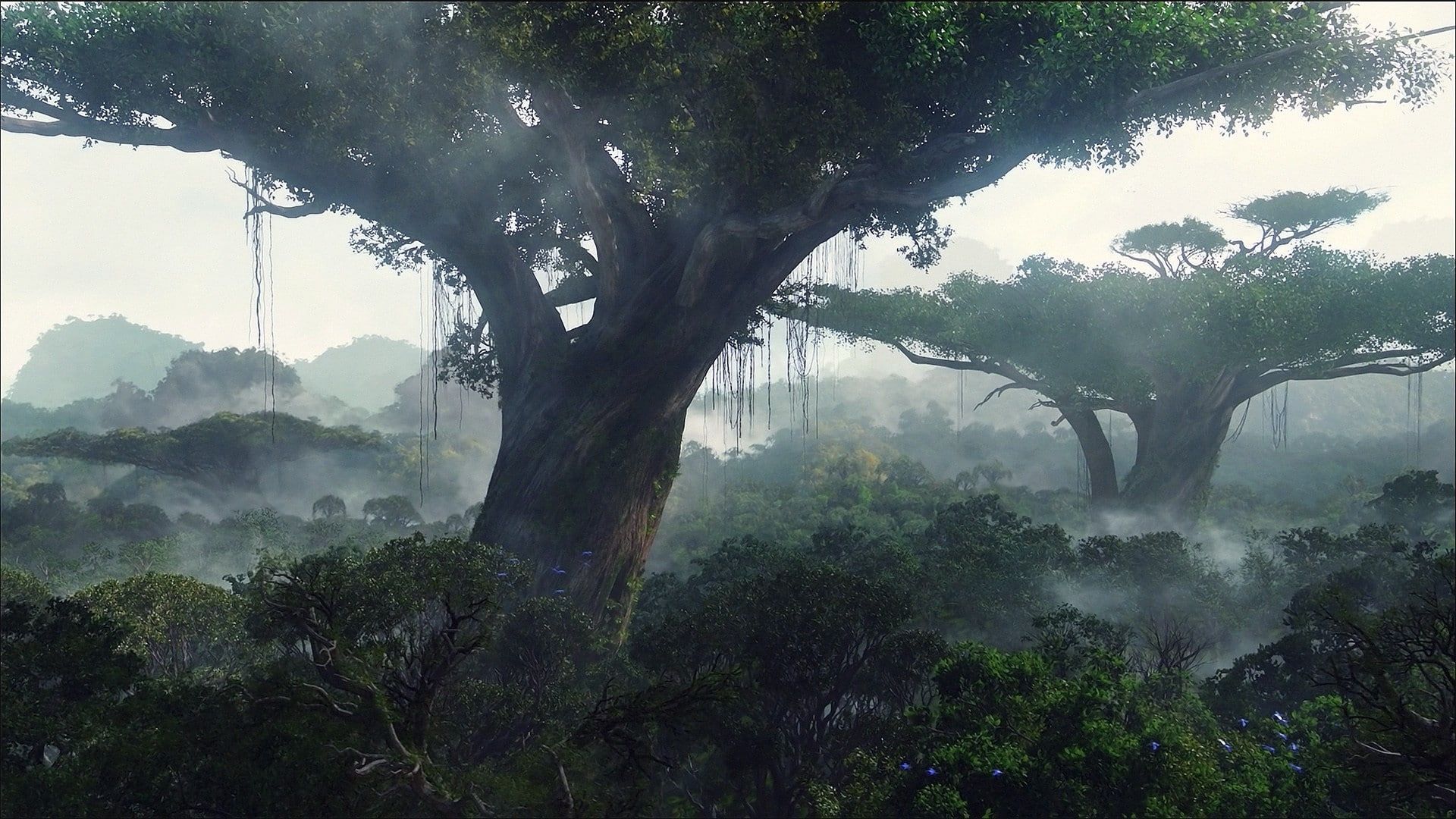 Avatar Forest Wallpapers - Top Free Avatar Forest Backgrounds ...