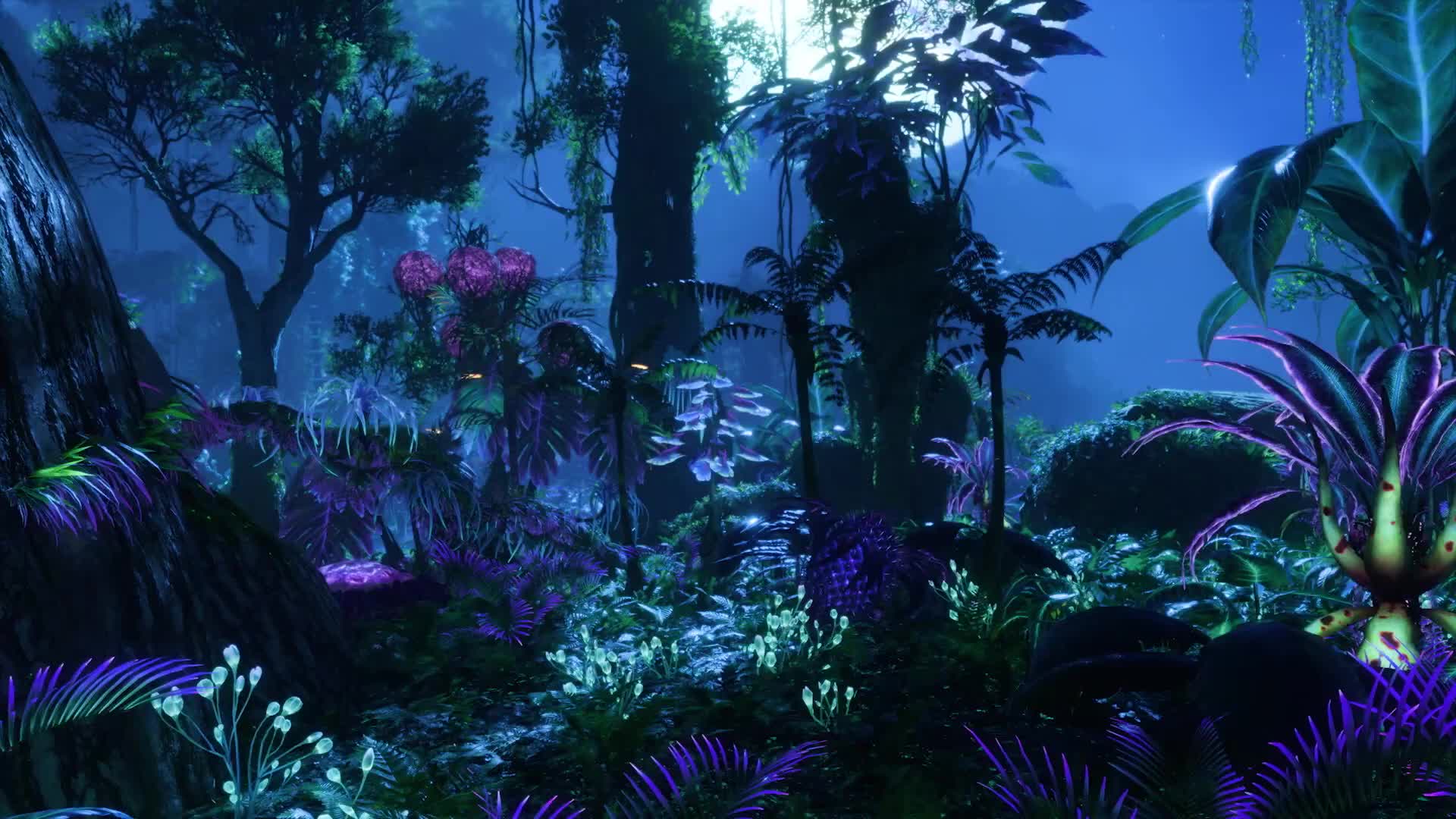 Avatar Forest Wallpapers - Top Free Avatar Forest Backgrounds ...