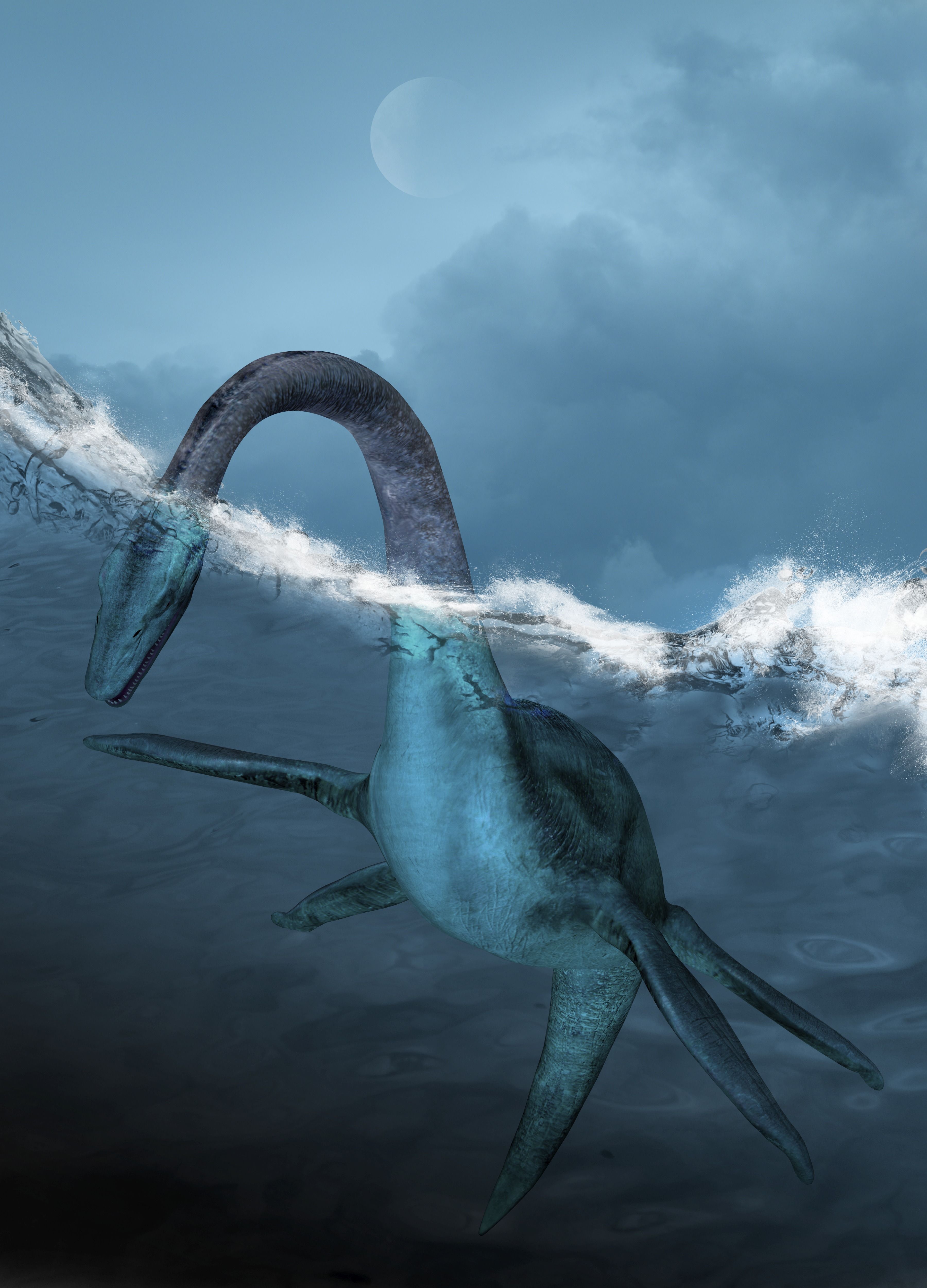 Nessie Wallpapers - Top Free Nessie Backgrounds - WallpaperAccess