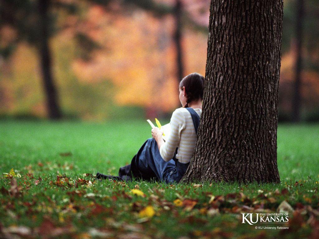 Studying Wallpapers - Top Free Studying Backgrounds - WallpaperAccess