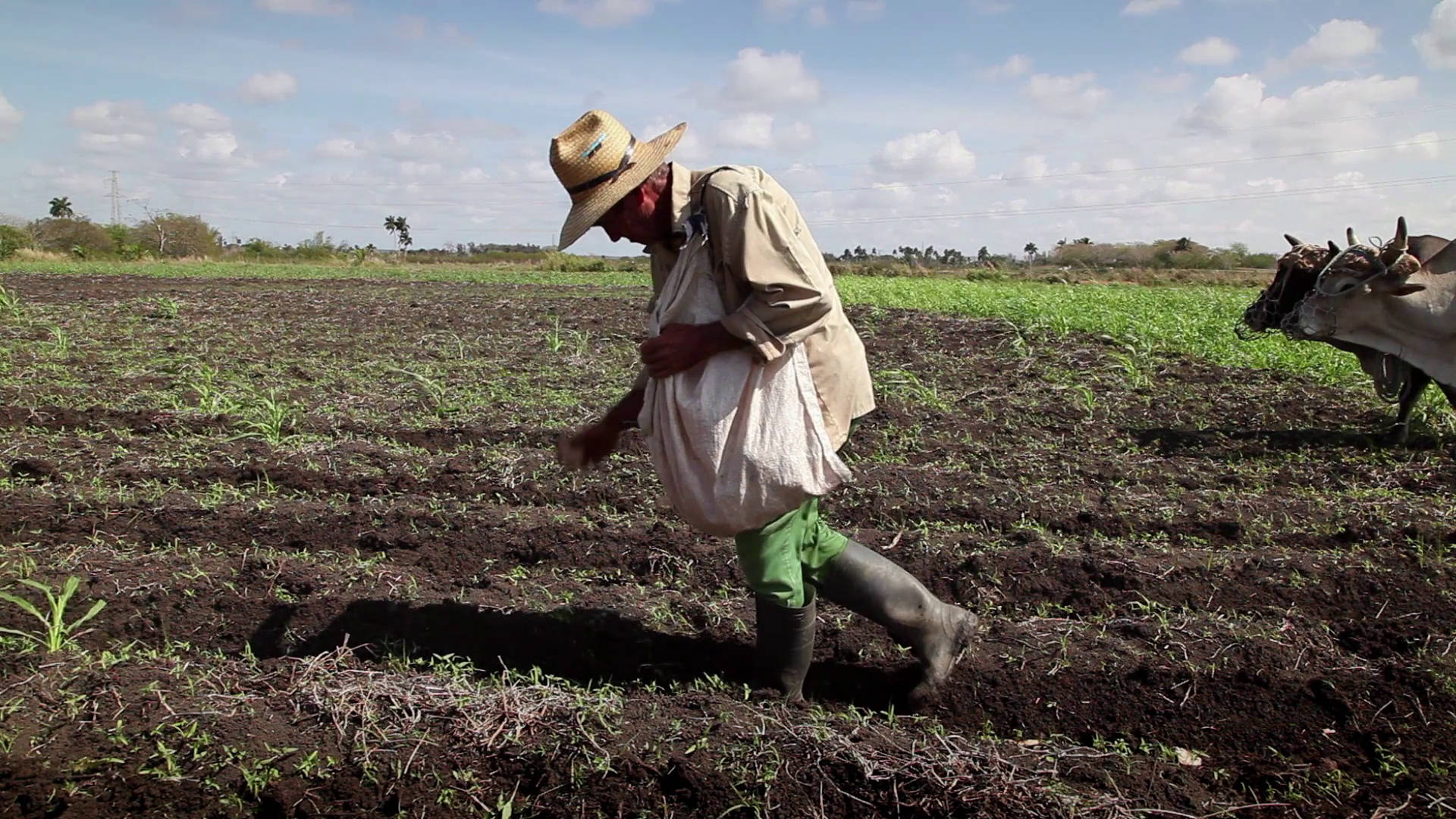 Kisan Wallpapers - Top Free Kisan Backgrounds - WallpaperAccess