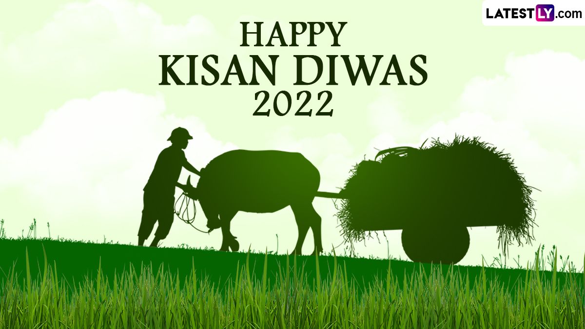 Kisan Wallpapers - Top Free Kisan Backgrounds - WallpaperAccess