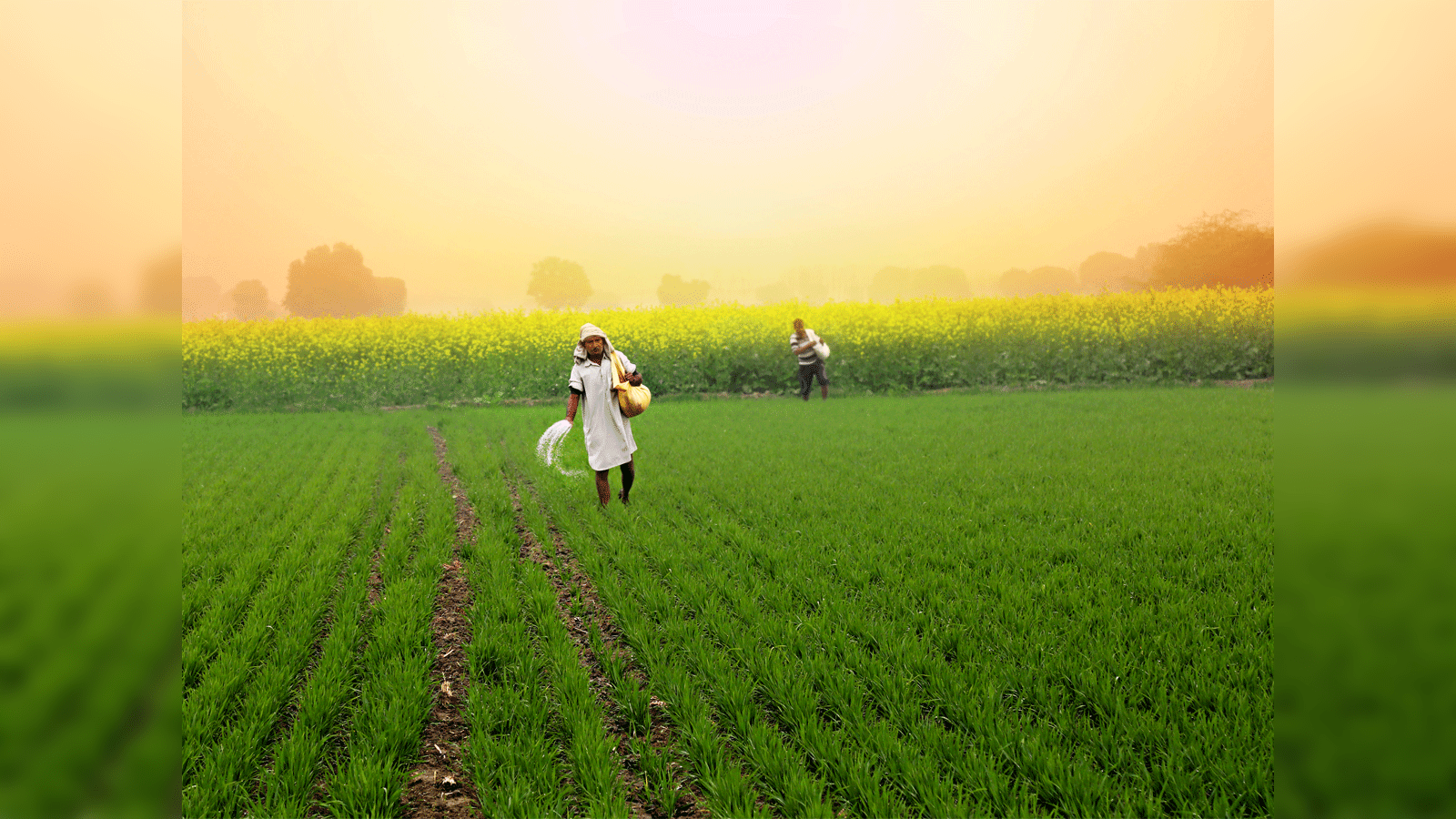 Kisan Wallpapers - Top Free Kisan Backgrounds - WallpaperAccess