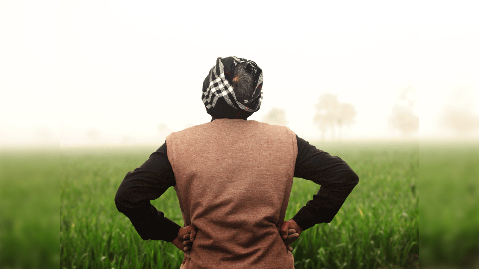 Kisan Wallpapers - Top Free Kisan Backgrounds - WallpaperAccess