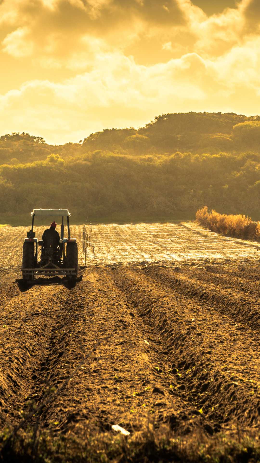 Kisan Wallpapers - Top Free Kisan Backgrounds - WallpaperAccess