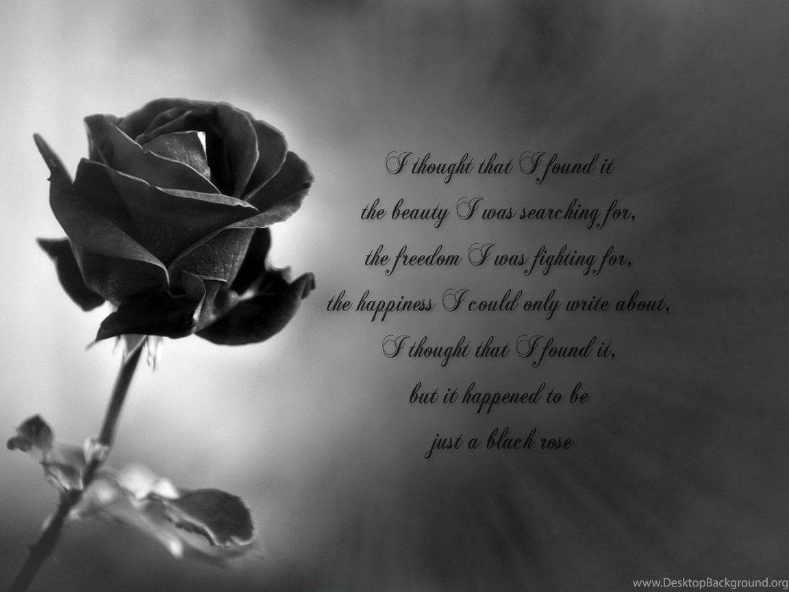 Sad Flower Wallpapers - Top Free Sad Flower Backgrounds - WallpaperAccess