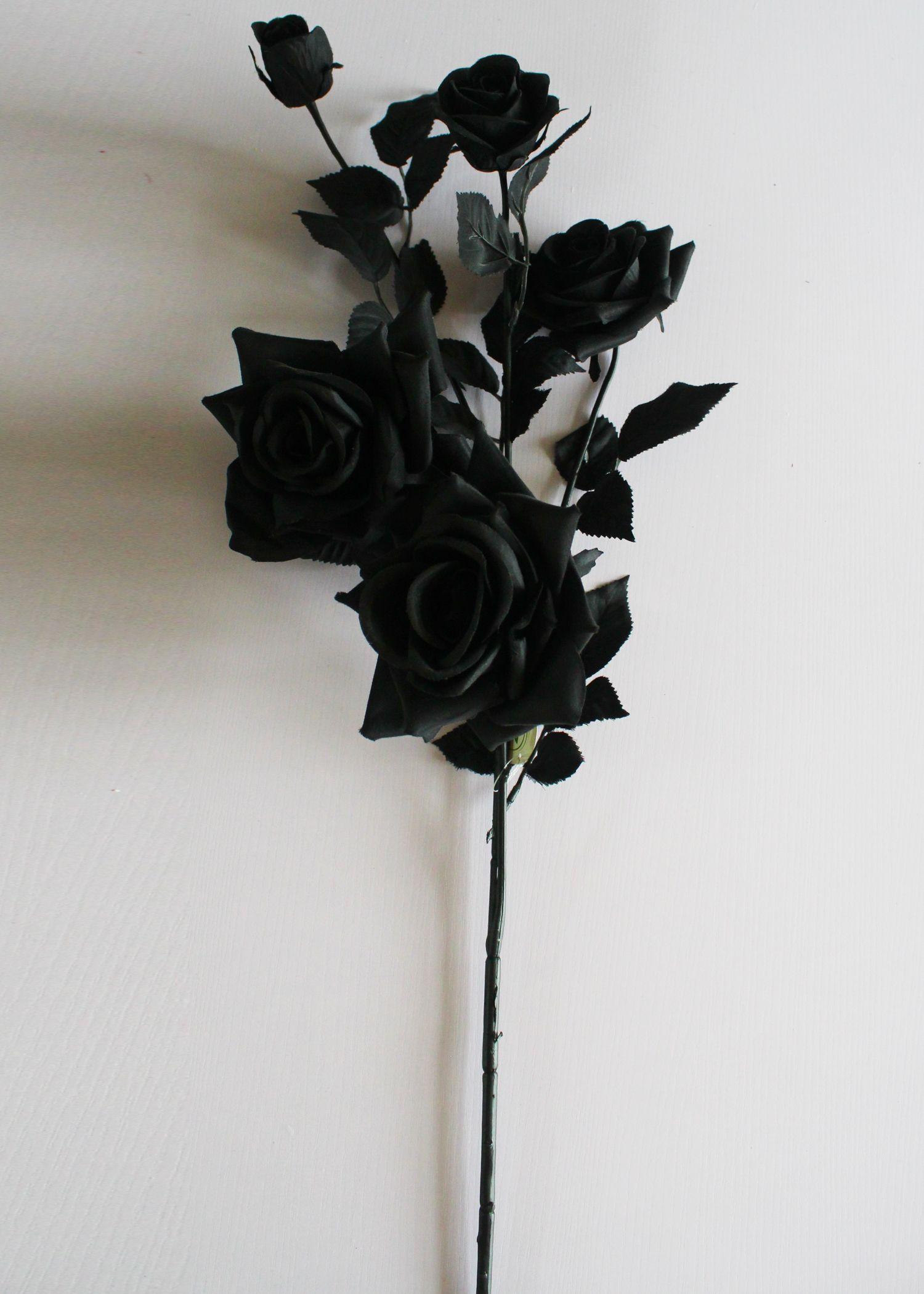 Black Rose Flower Wallpapers - Top Free Black Rose Flower Backgrounds ...