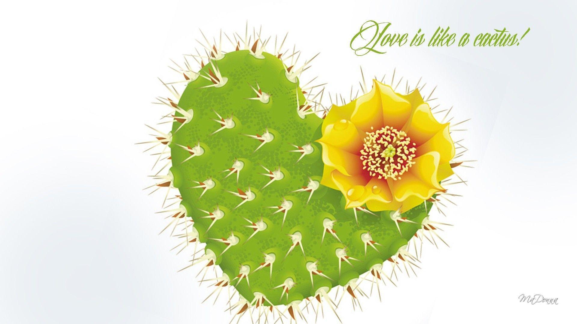 Cactus Computer Wallpapers - Top Free Cactus Computer Backgrounds ...