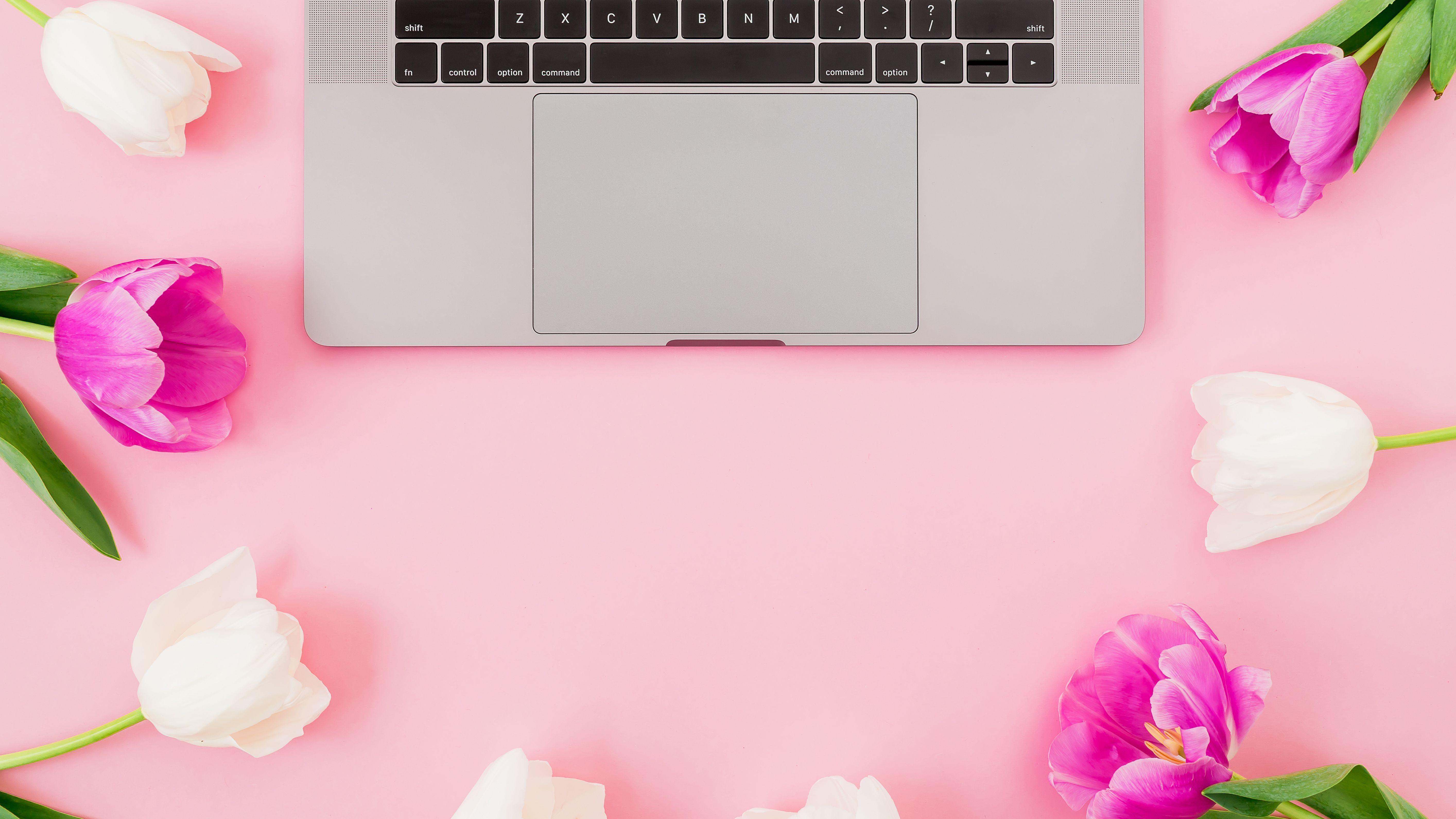 Pink Flower Laptop Wallpapers - Top Free Pink Flower Laptop Backgrounds ...