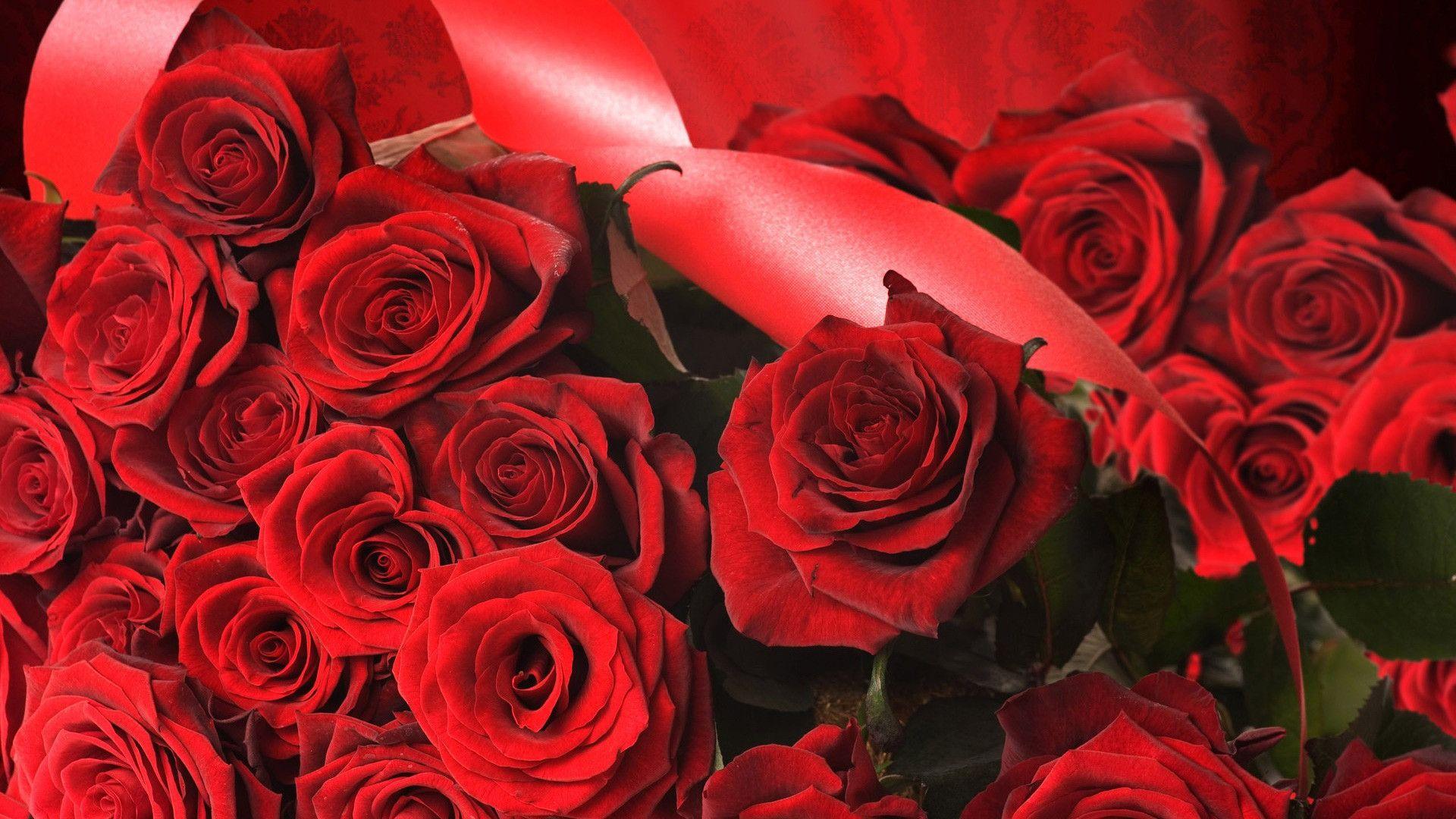 Red Floral Computer Wallpapers - Top Free Red Floral Computer ...