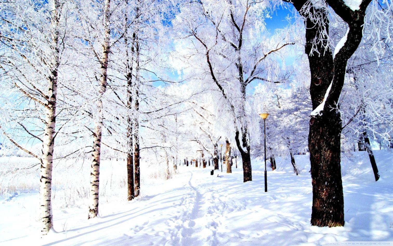 Winter Computer Wallpapers - Top Free Winter Computer Backgrounds ...