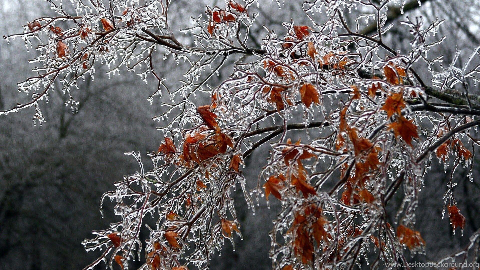 Winter Computer Wallpapers - Top Free Winter Computer Backgrounds ...