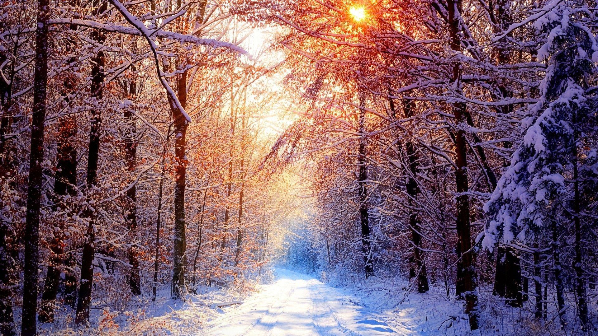HD Winter Wallpapers - Top Free HD Winter Backgrounds - WallpaperAccess