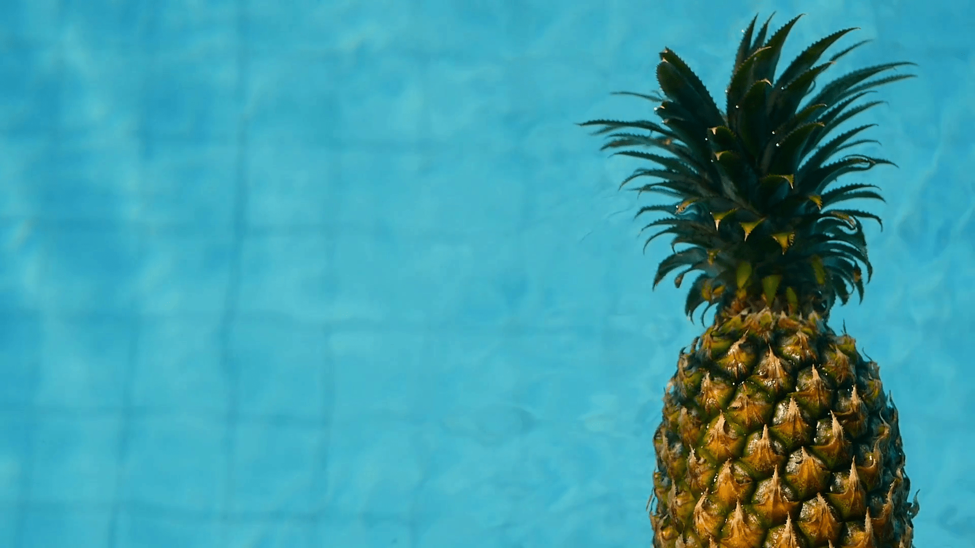 Blue Pineapple Wallpapers - Top Free Blue Pineapple Backgrounds ...