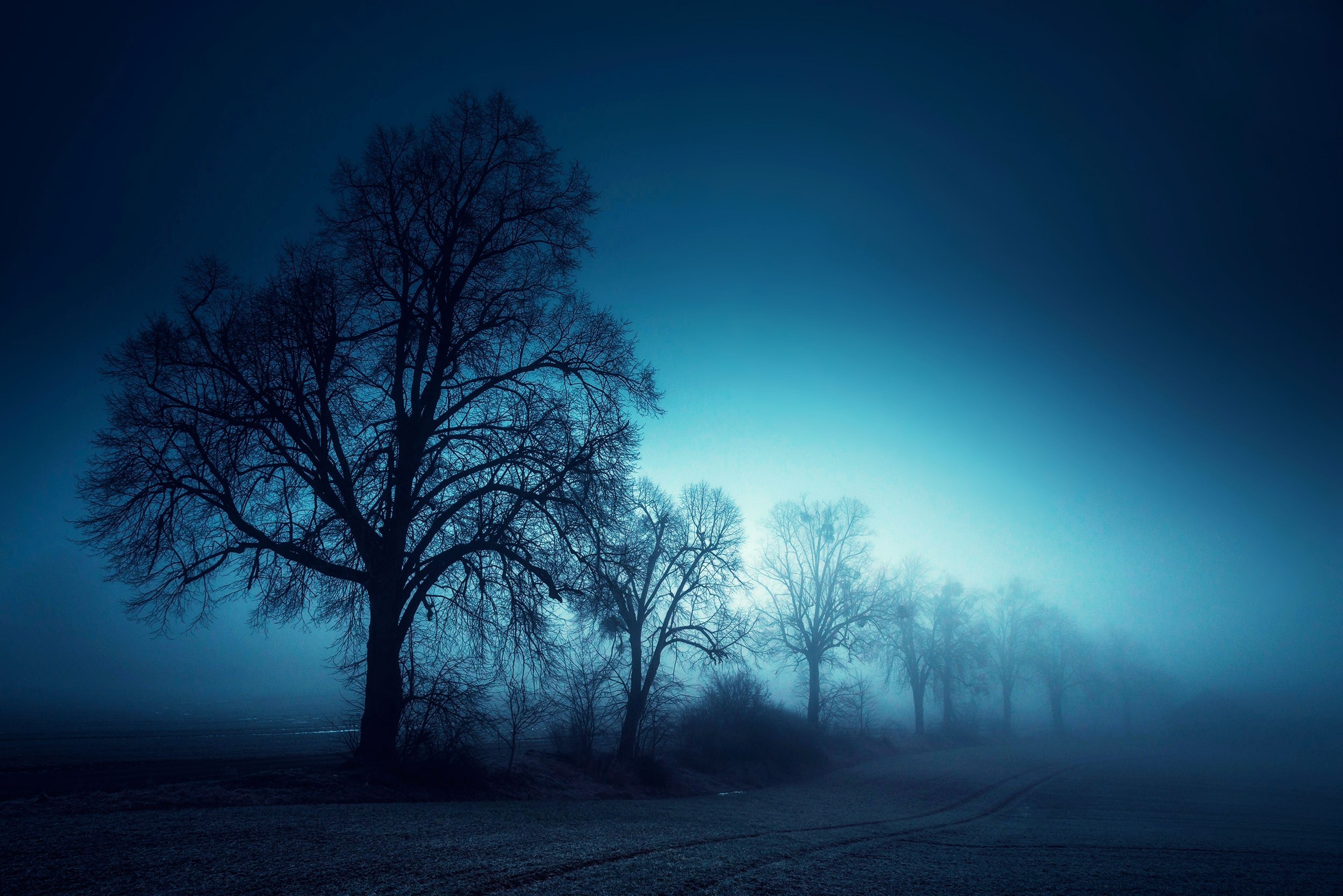 Blue Fog Wallpapers - Top Free Blue Fog Backgrounds - WallpaperAccess